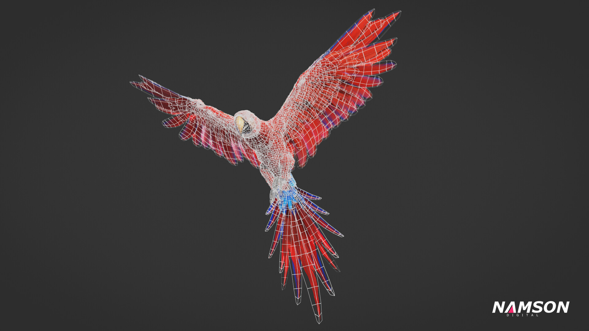 NAMSON digital - Scarlet Macaw
