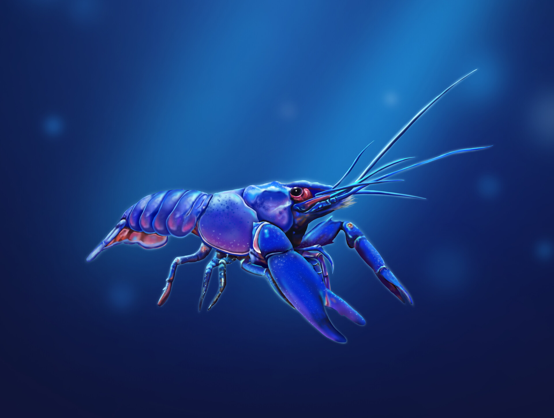 ArtStation - Blue Lobster