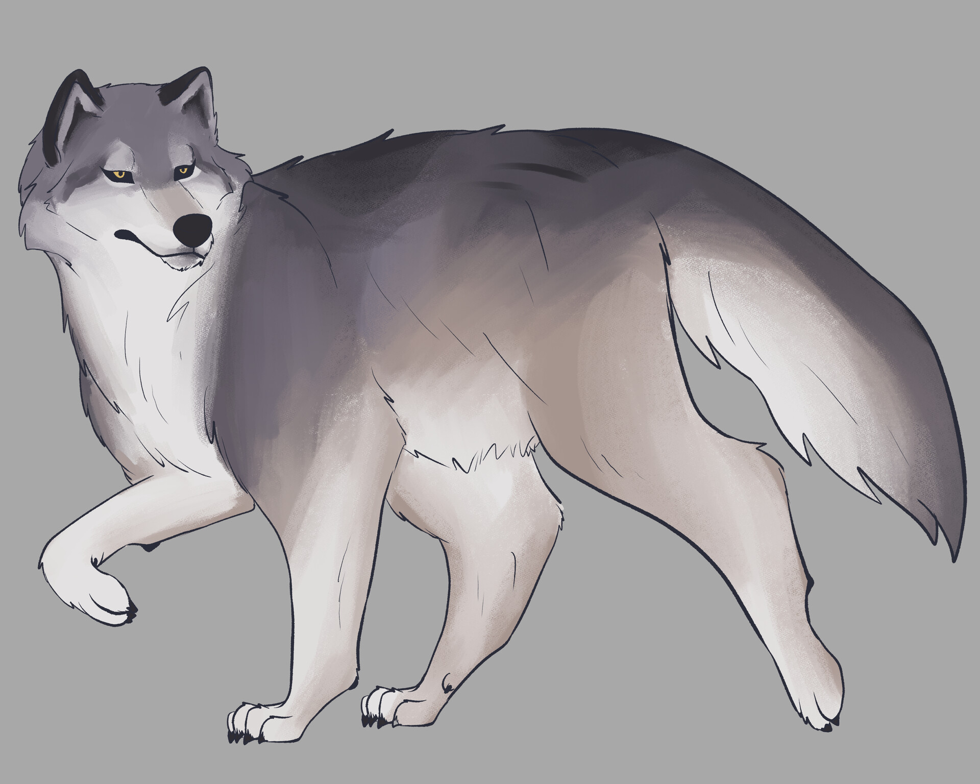ArtStation - Grey Wolf