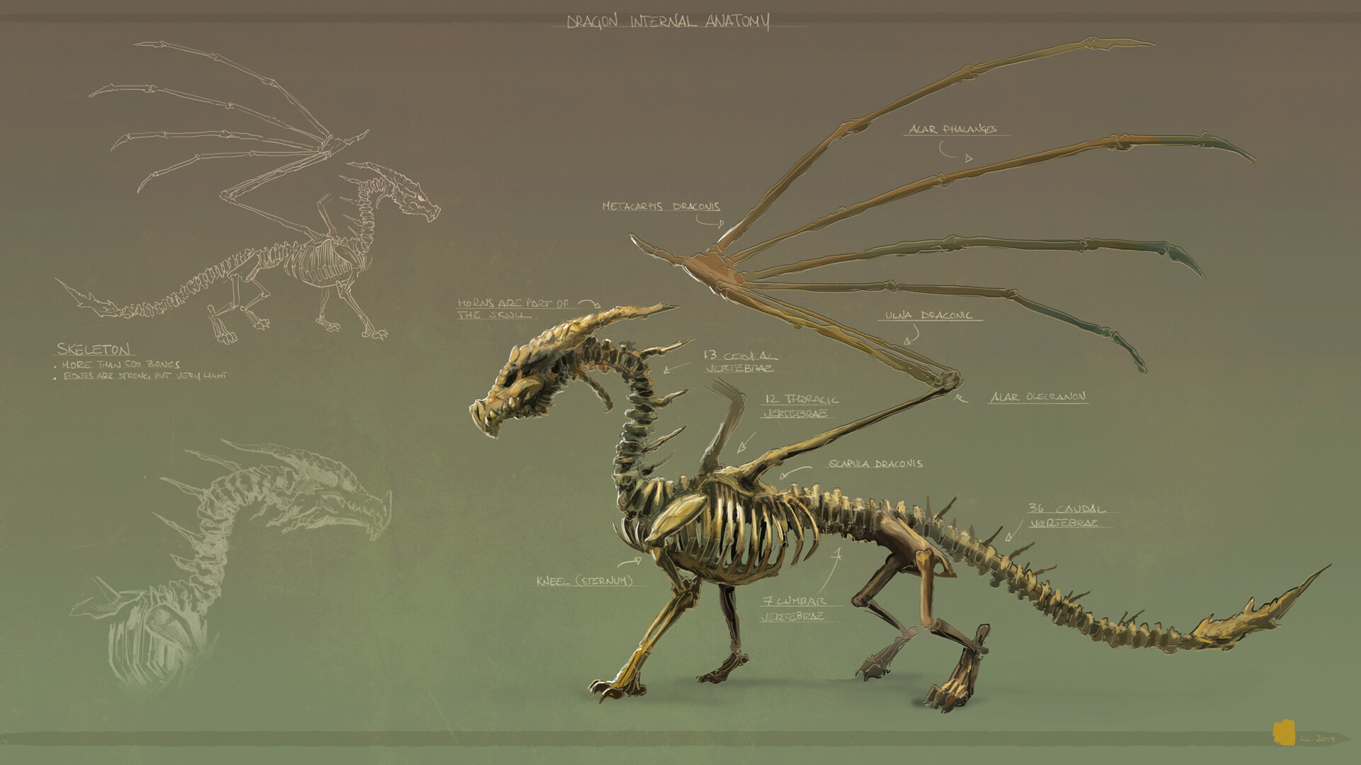 ArtStation - Dragon Anatomy