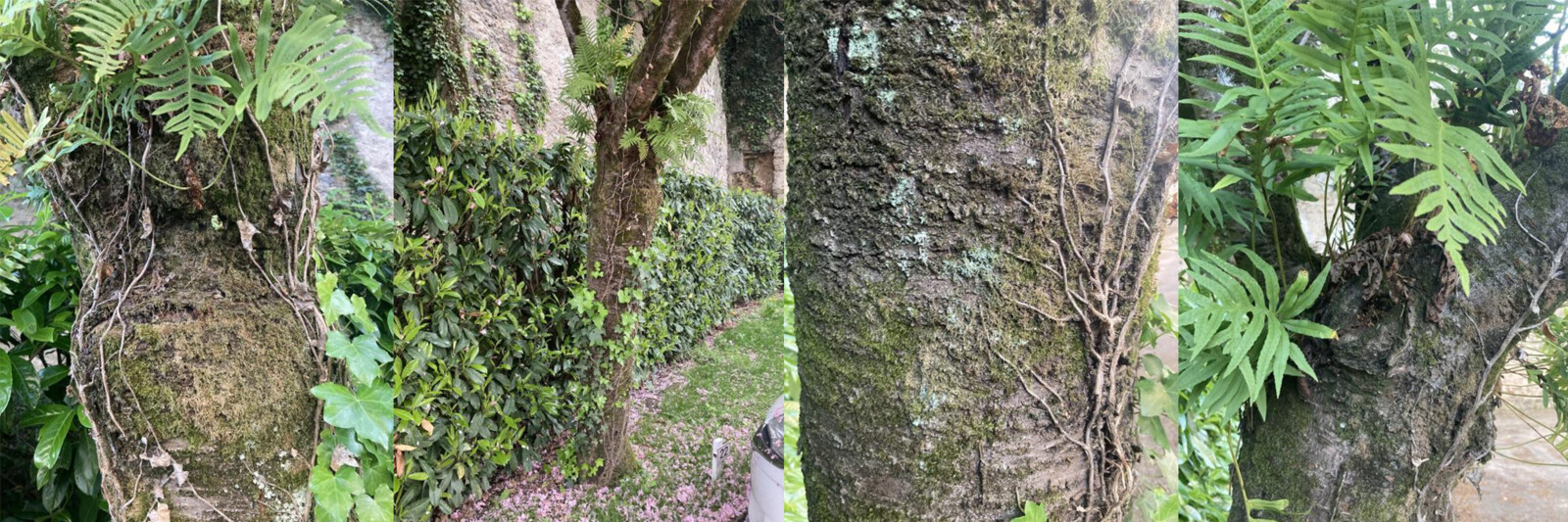 Diwan Bertrand-Bourlaud - "Le voyageur" _ Environment