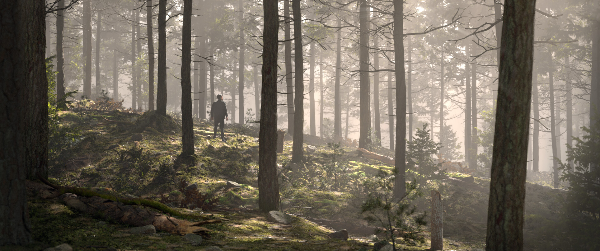 ArtStation - Pine Forest