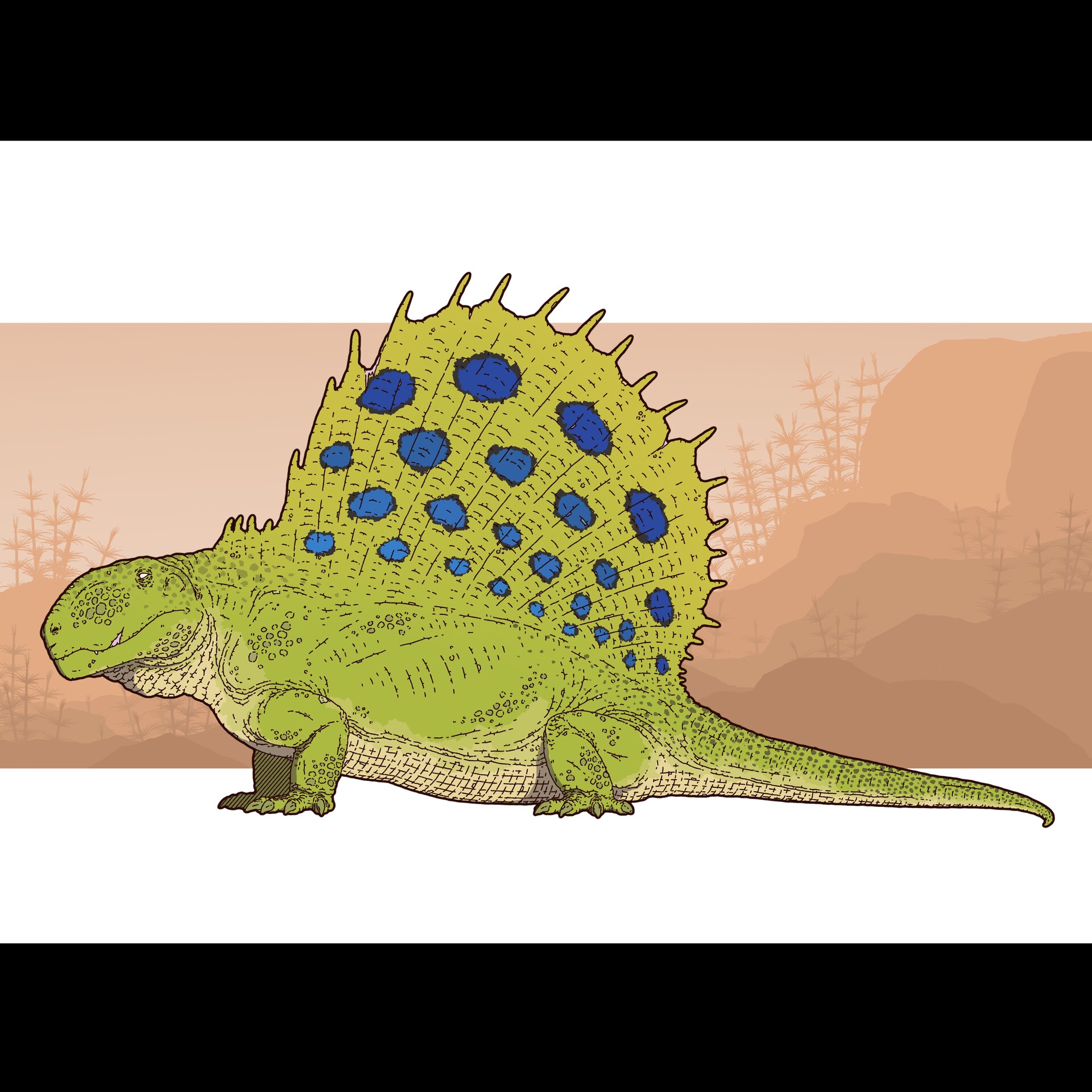 ArtStation - Dimetrodon