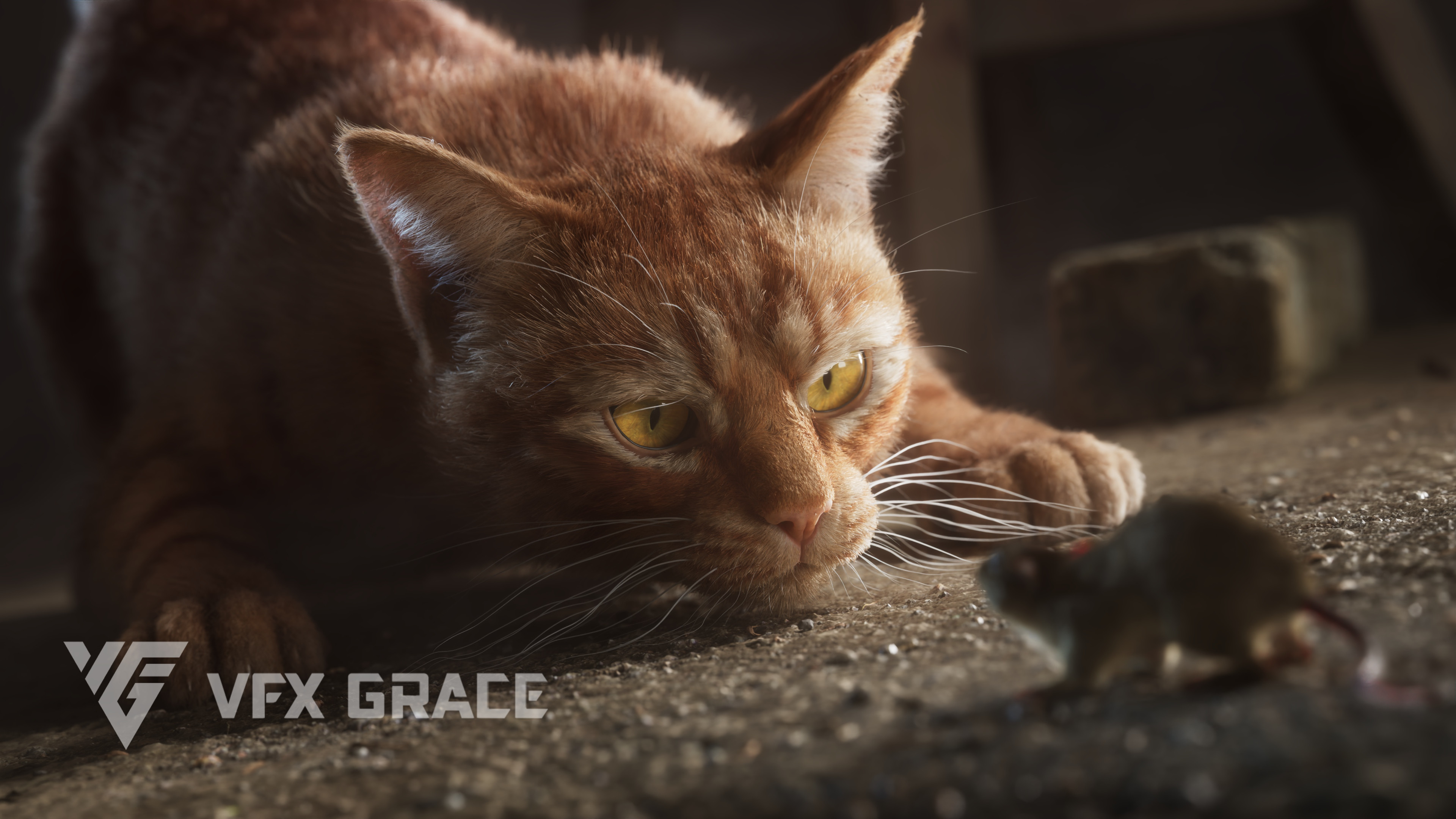 VFX models - Orange Cat Animated