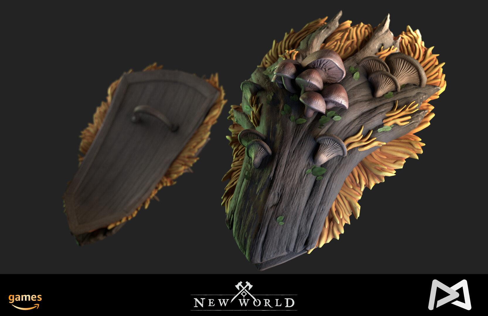 Magic Media - Amazon New World - Shields