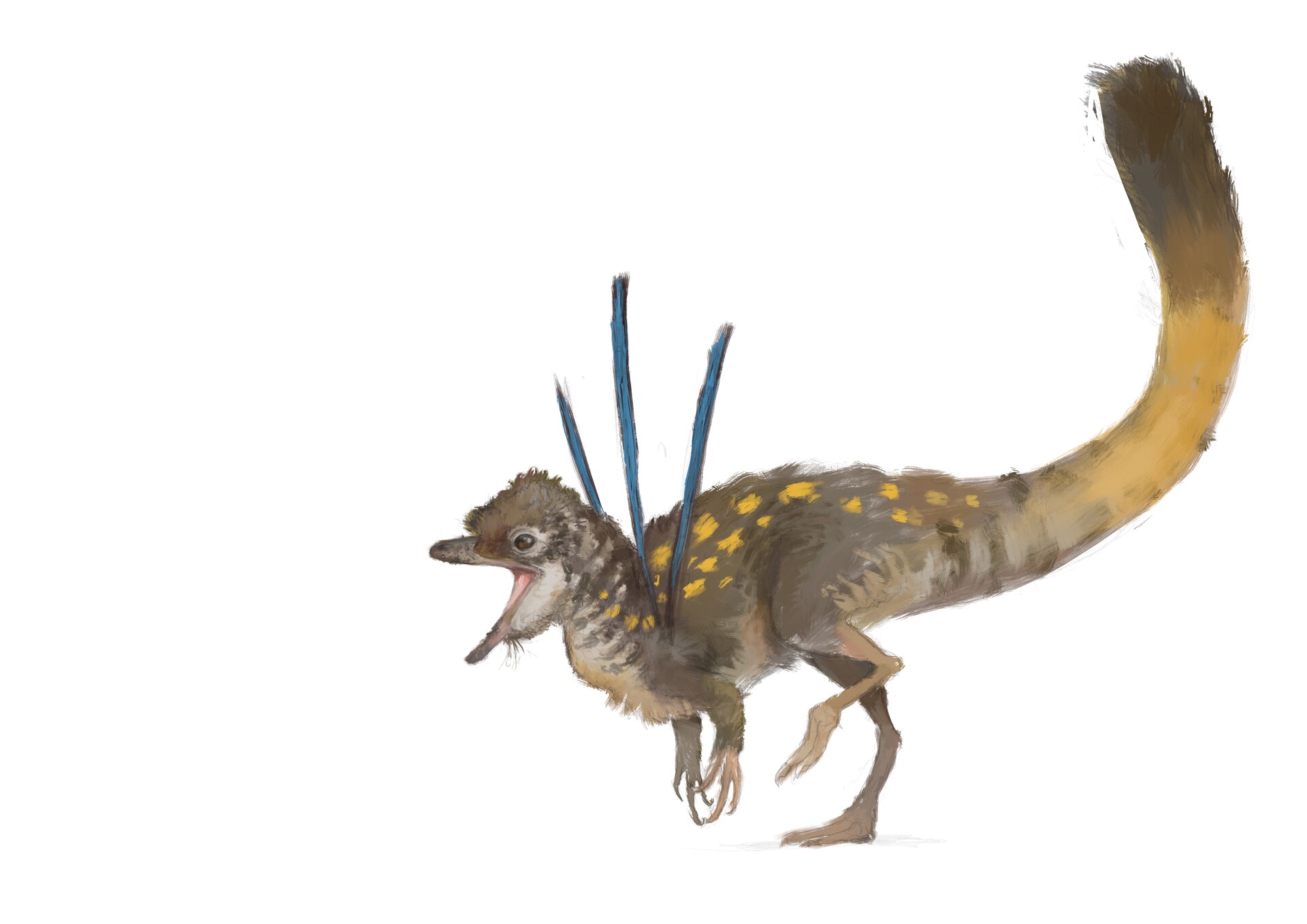 Heitoresco - Ubirajara jubatus