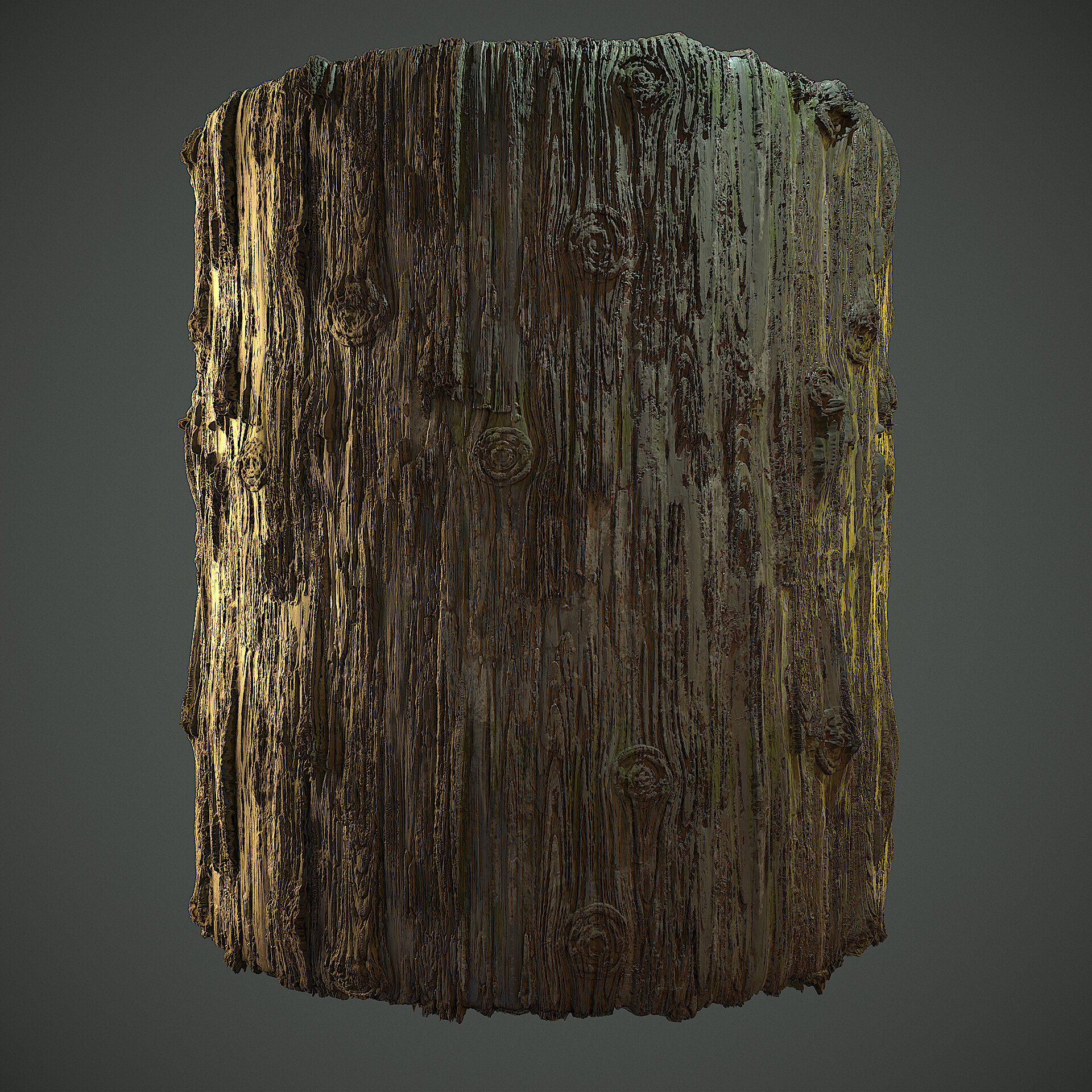 ArtStation - Tree Bark
