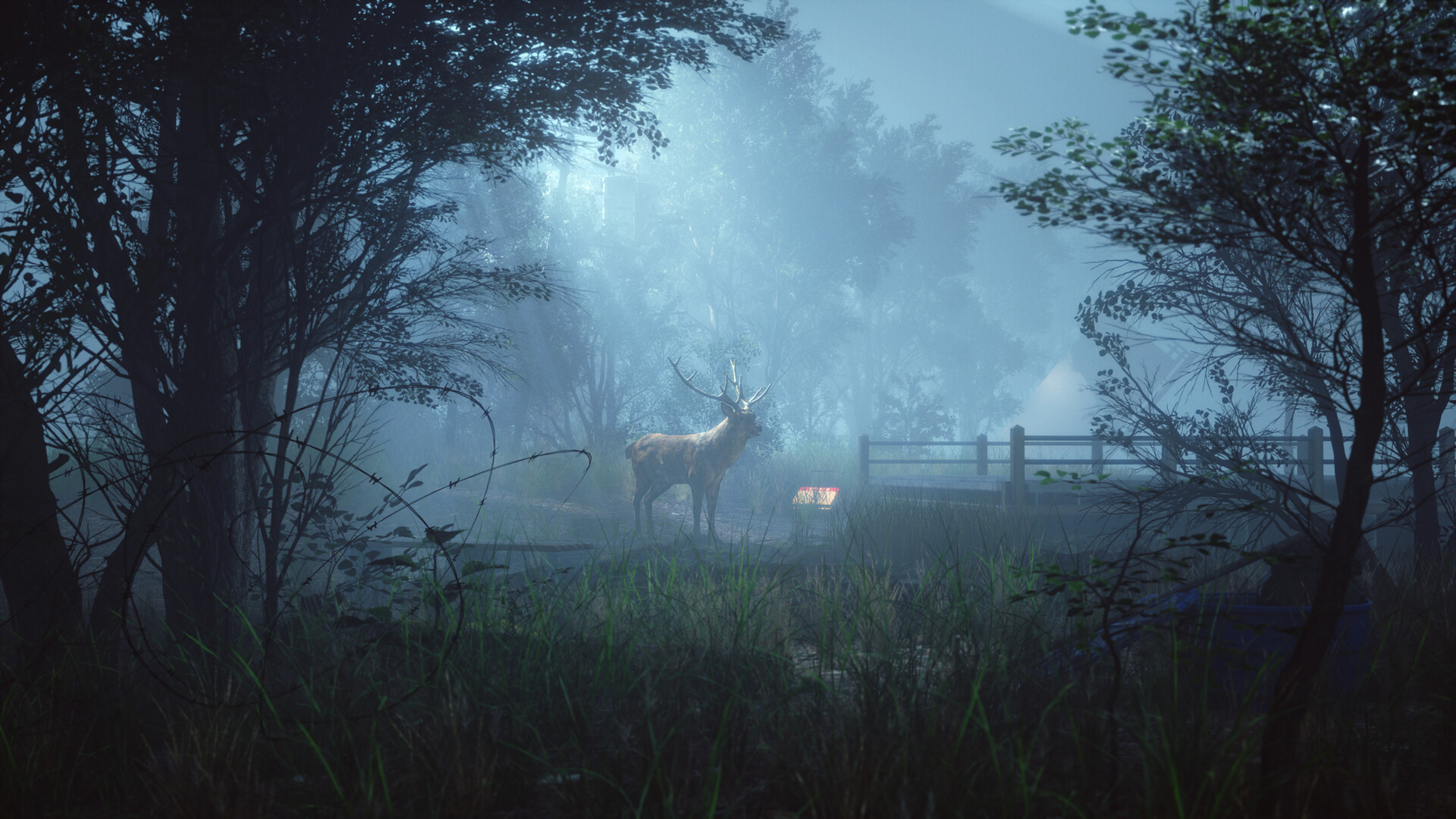 ArtStation - UE5 Forest Night lighting