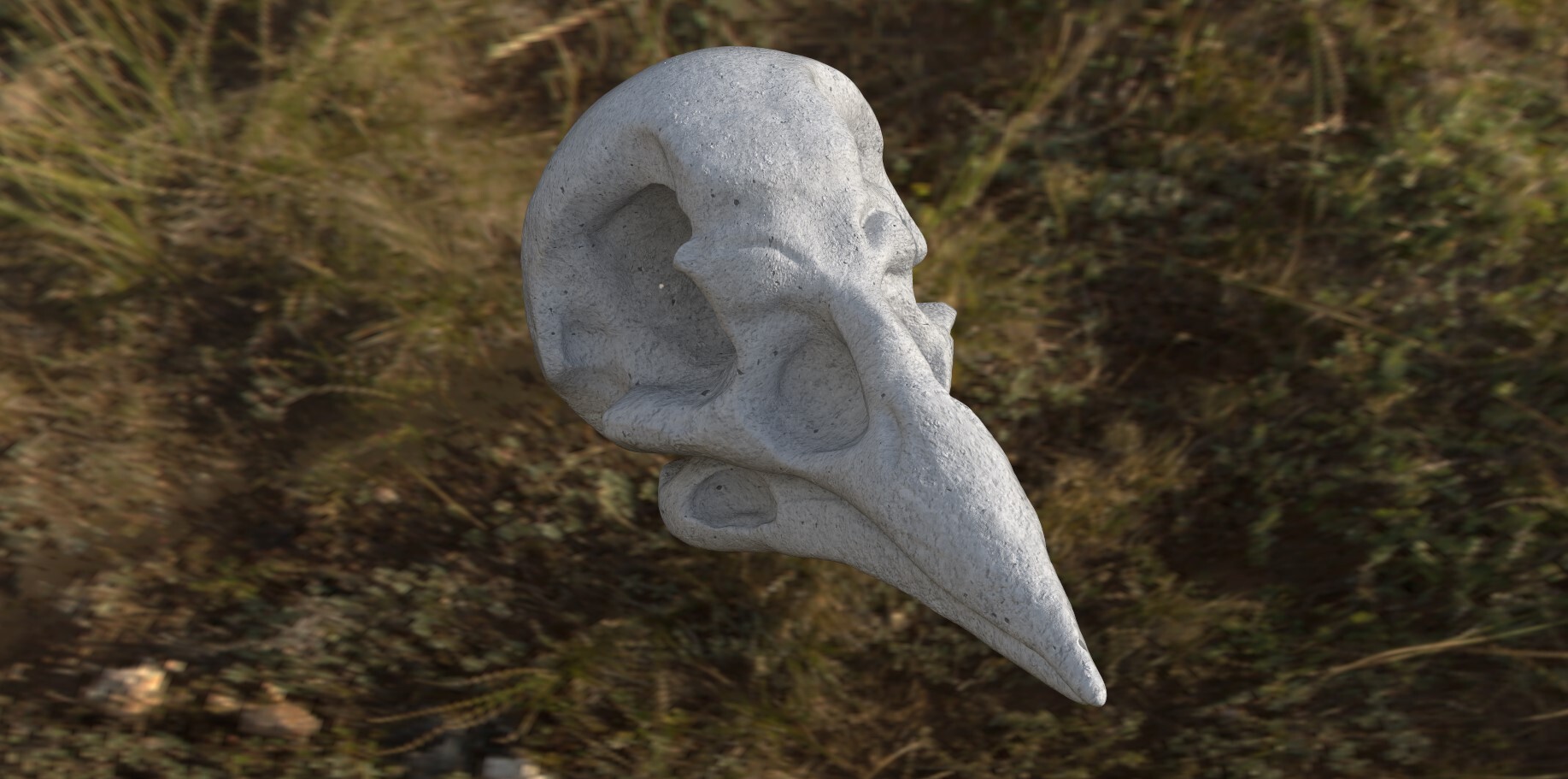 ArtStation - Crow SKull