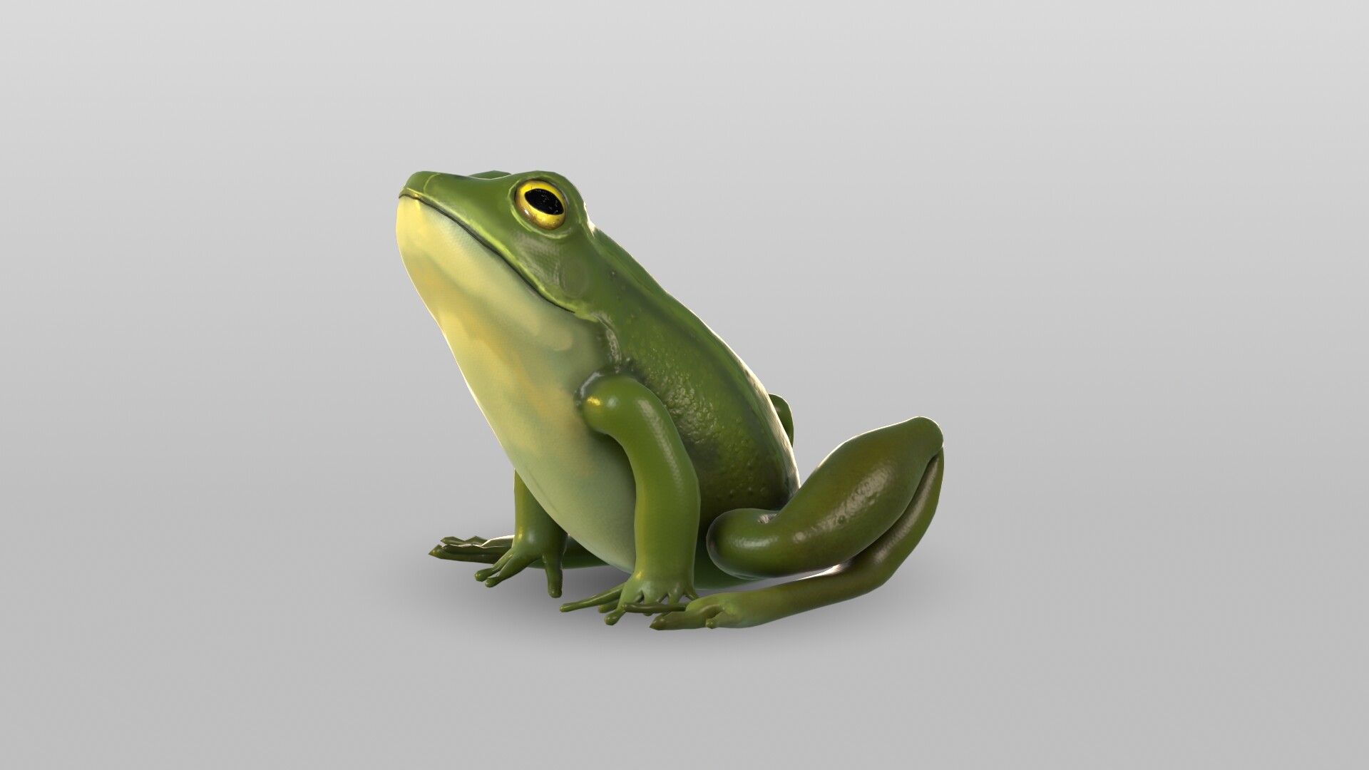 ArtStation - Frog