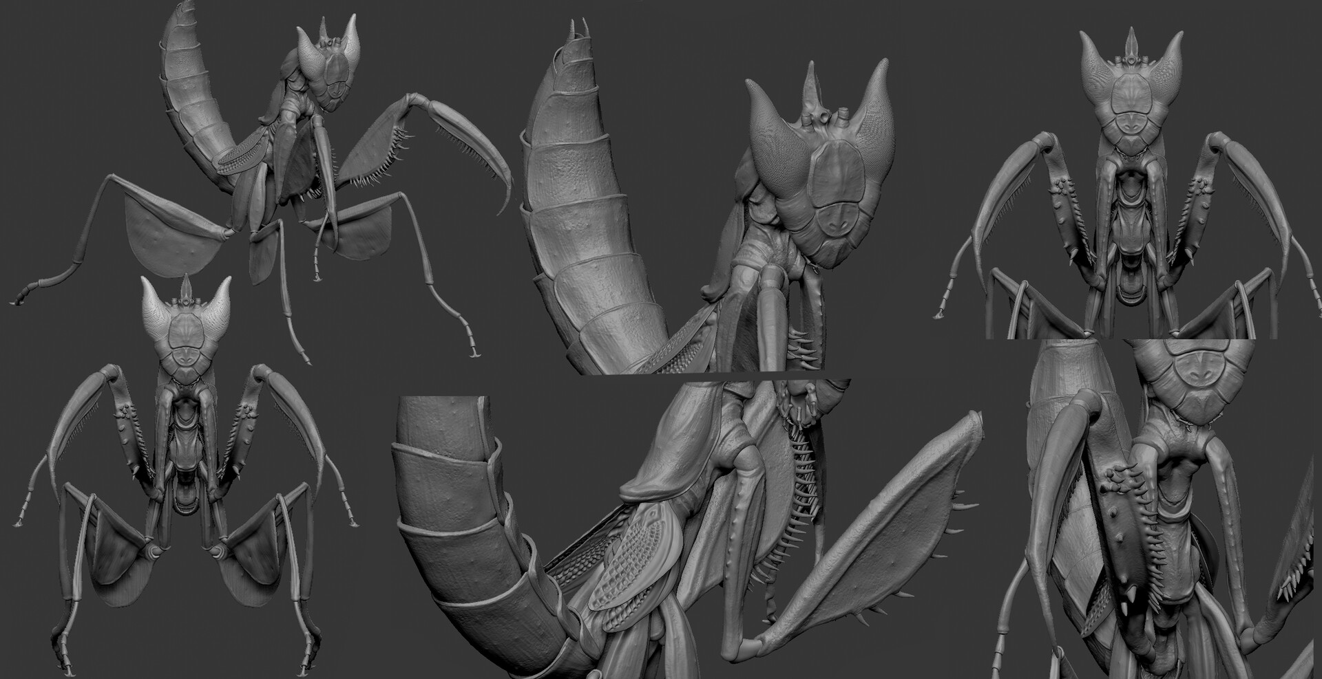 ArtStation - Orchid mantis