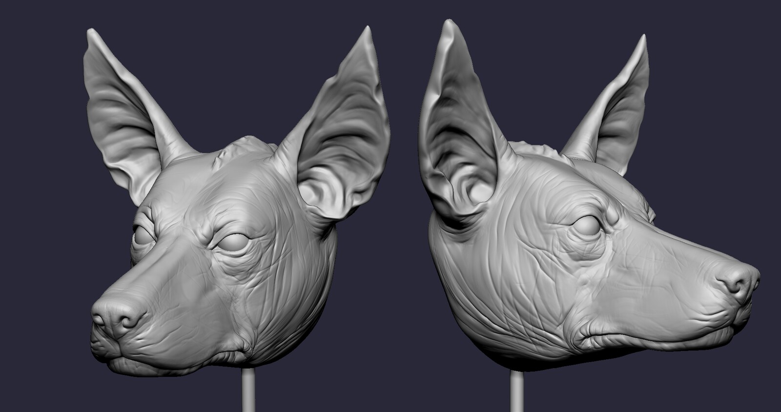 Michelle Starkovs - Xolo Dog Head Study