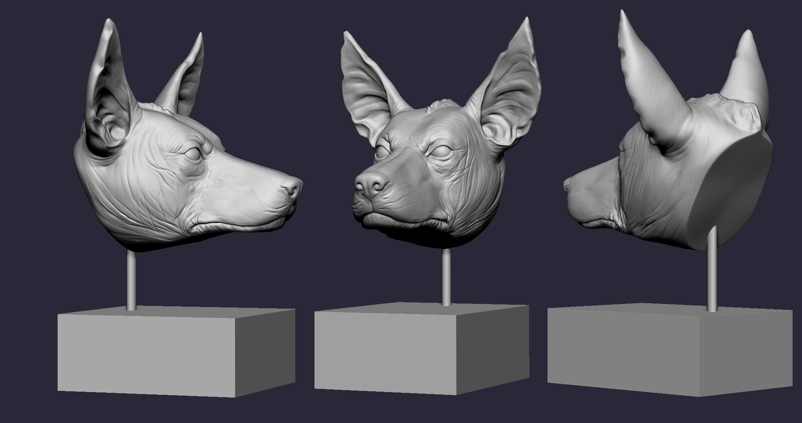 Michelle Starkovs - Xolo Dog Head Study