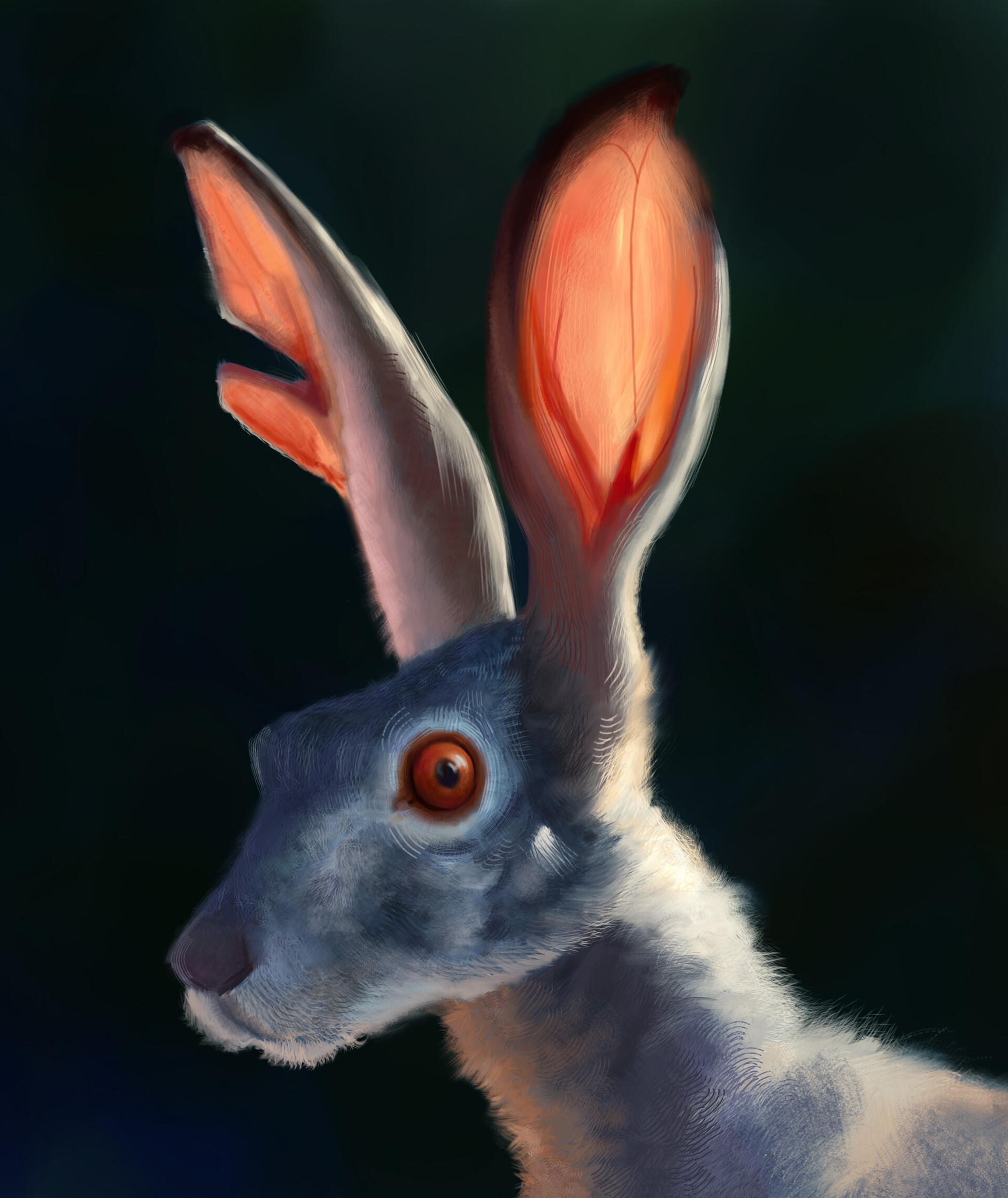 ArtStation - Hare Portrait Style Experiment