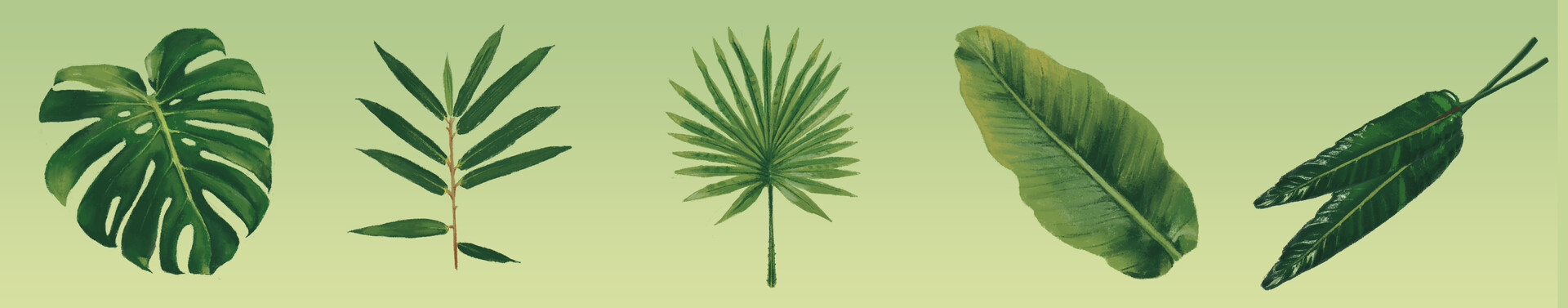 Maria Meinhardt Art - Tropical Pattern