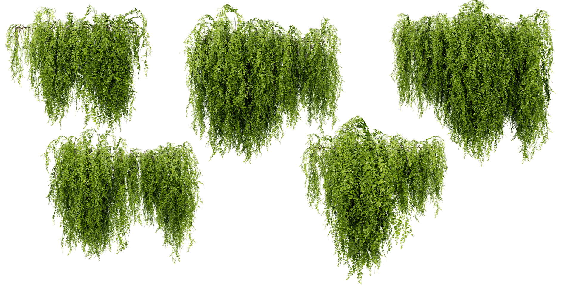 ArtStation - Collection plant vol 541 - blender model