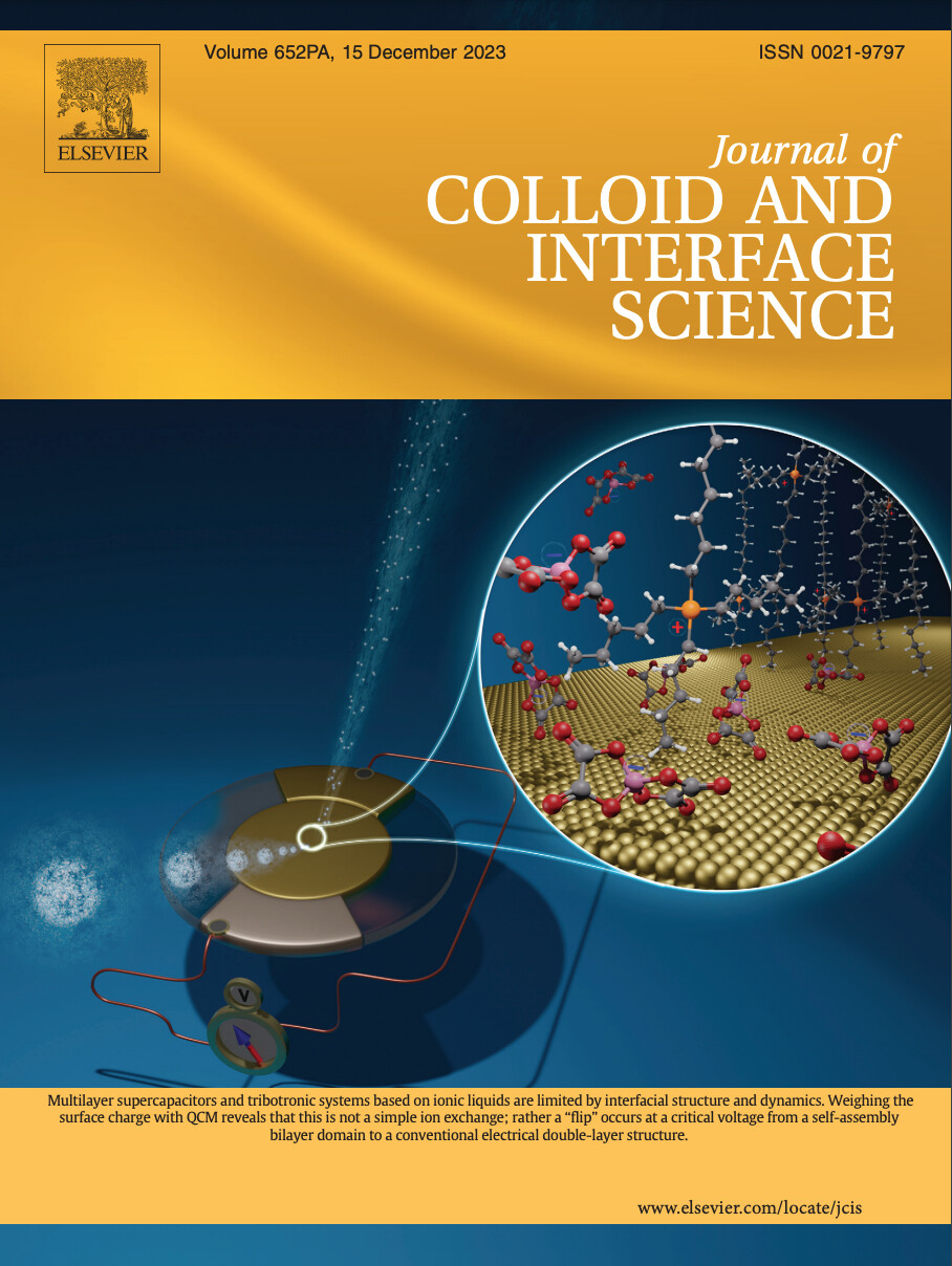 ArtStation - JCIS Journal Cover