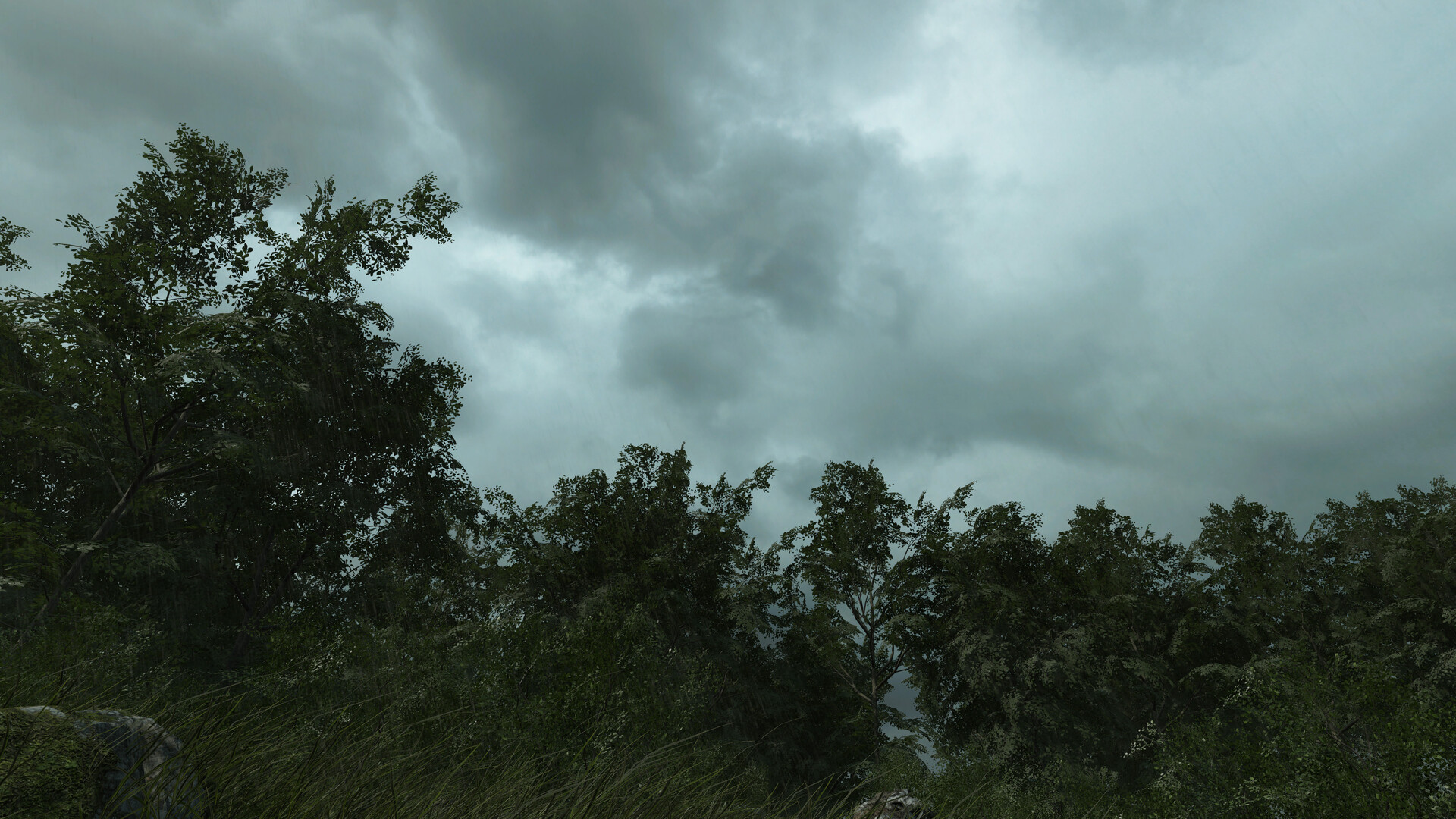 Serif Can - Oak Forest - CRYENGINE