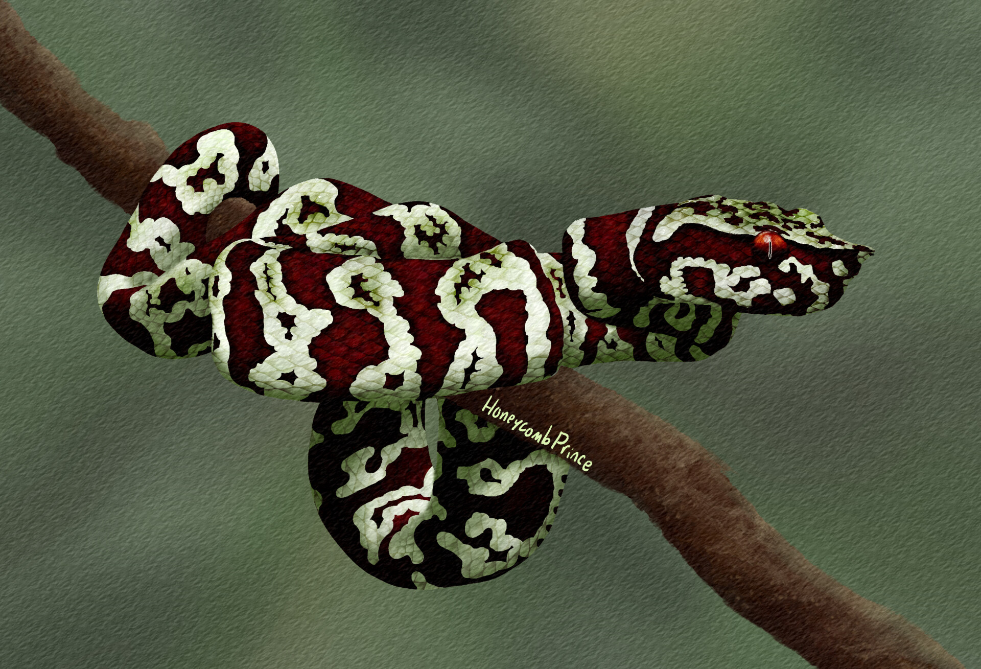 ArtStation - Broad-Banded Pit Viper