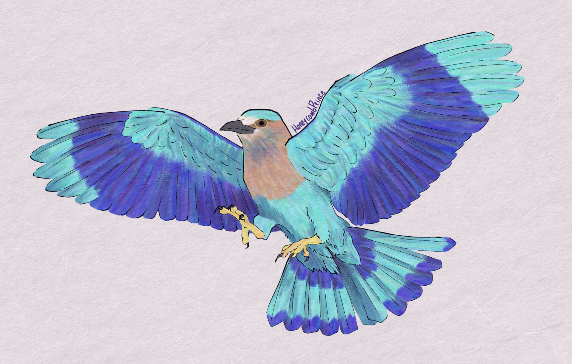 Elijah Jaeger - Indian Roller