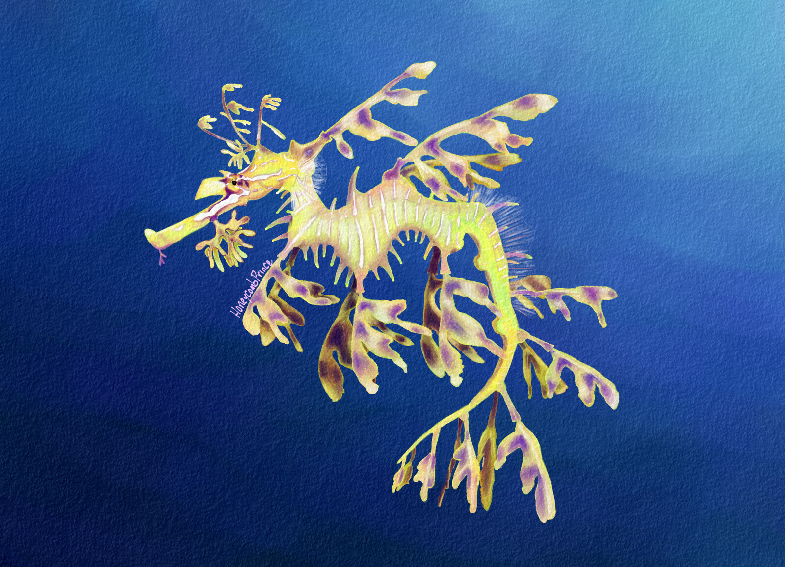 Elijah Jaeger - Leafy Seadragon