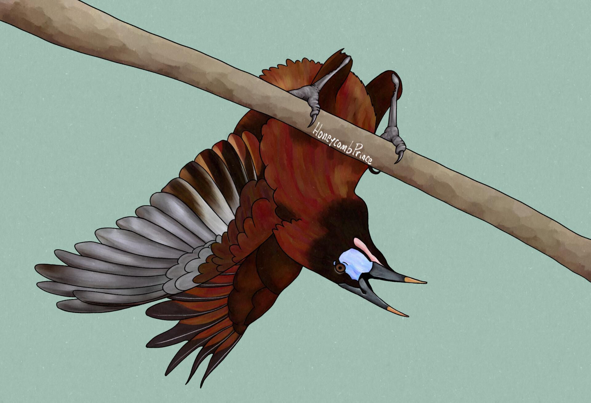 ArtStation - Montezuma Oropendola