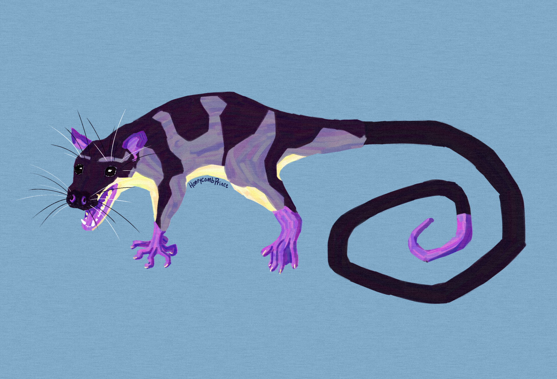 Elijah Jaeger - Water Opossum