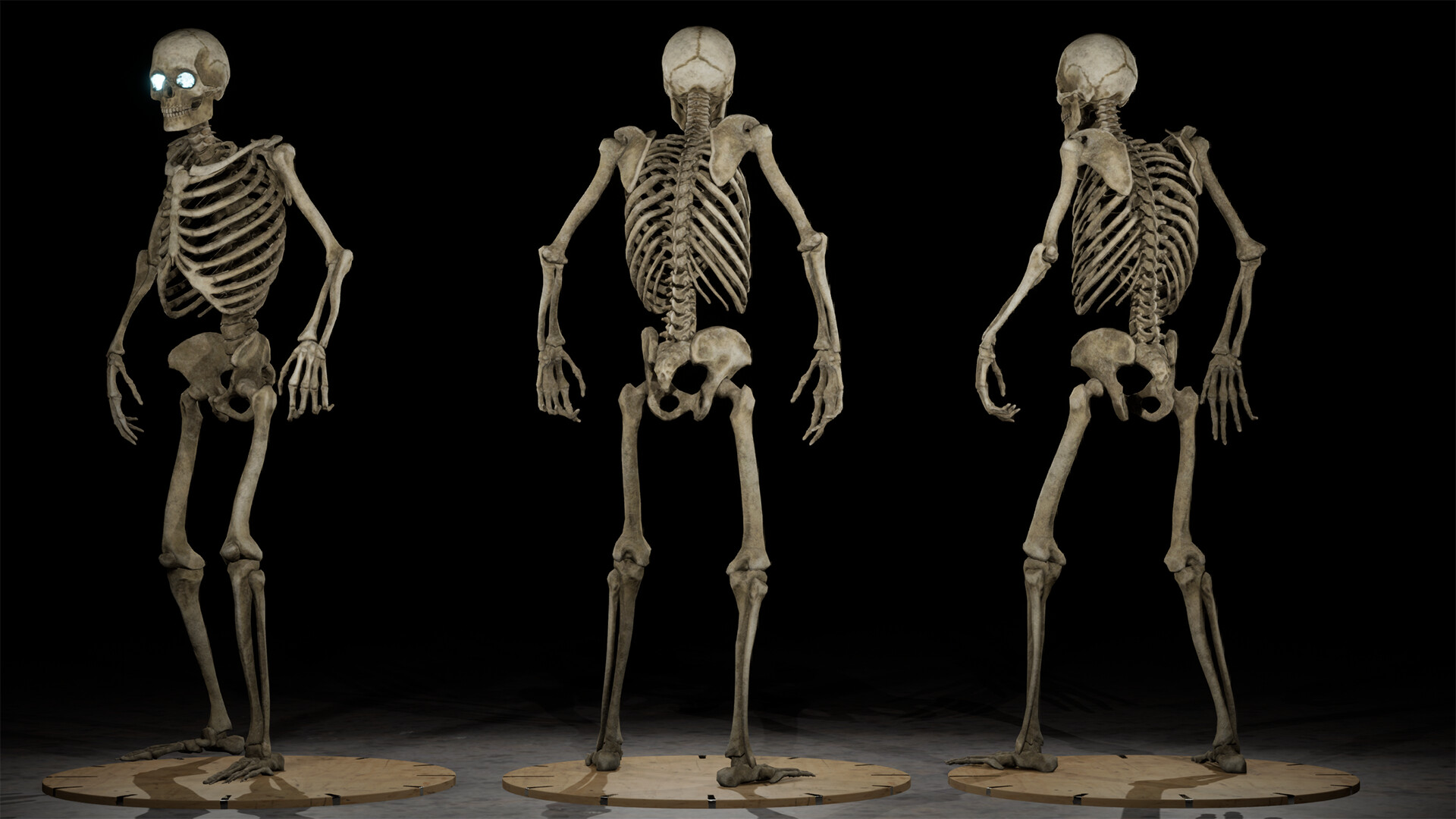 Alex Bondiukov - Skeleton Generator