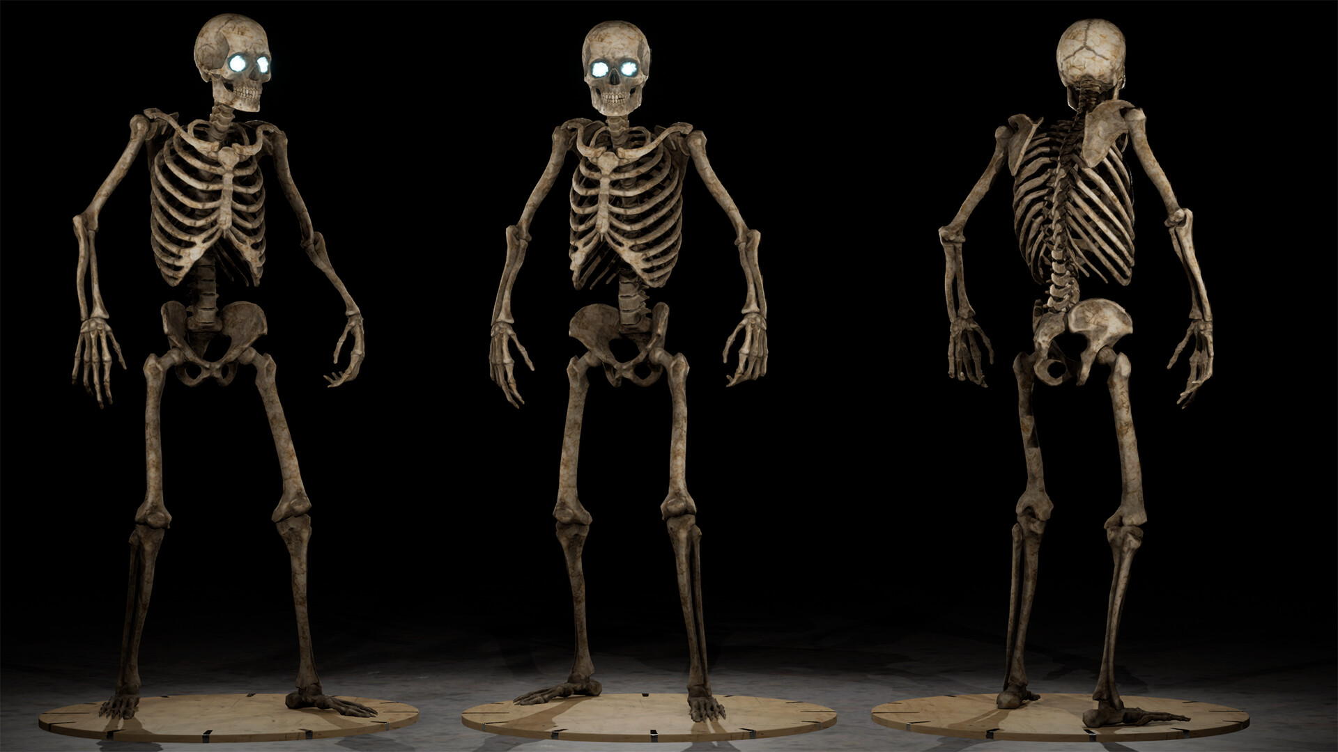 Alex Bondiukov - Skeleton Generator