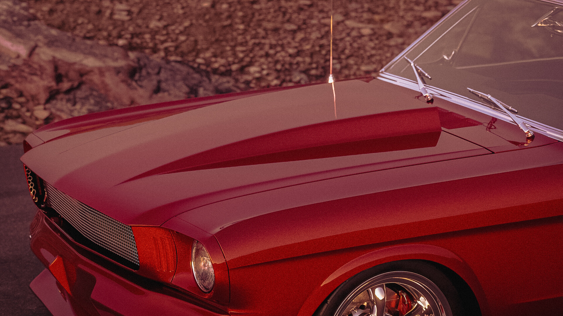 Will T. - Maier Racing '65 Mustang Fastback