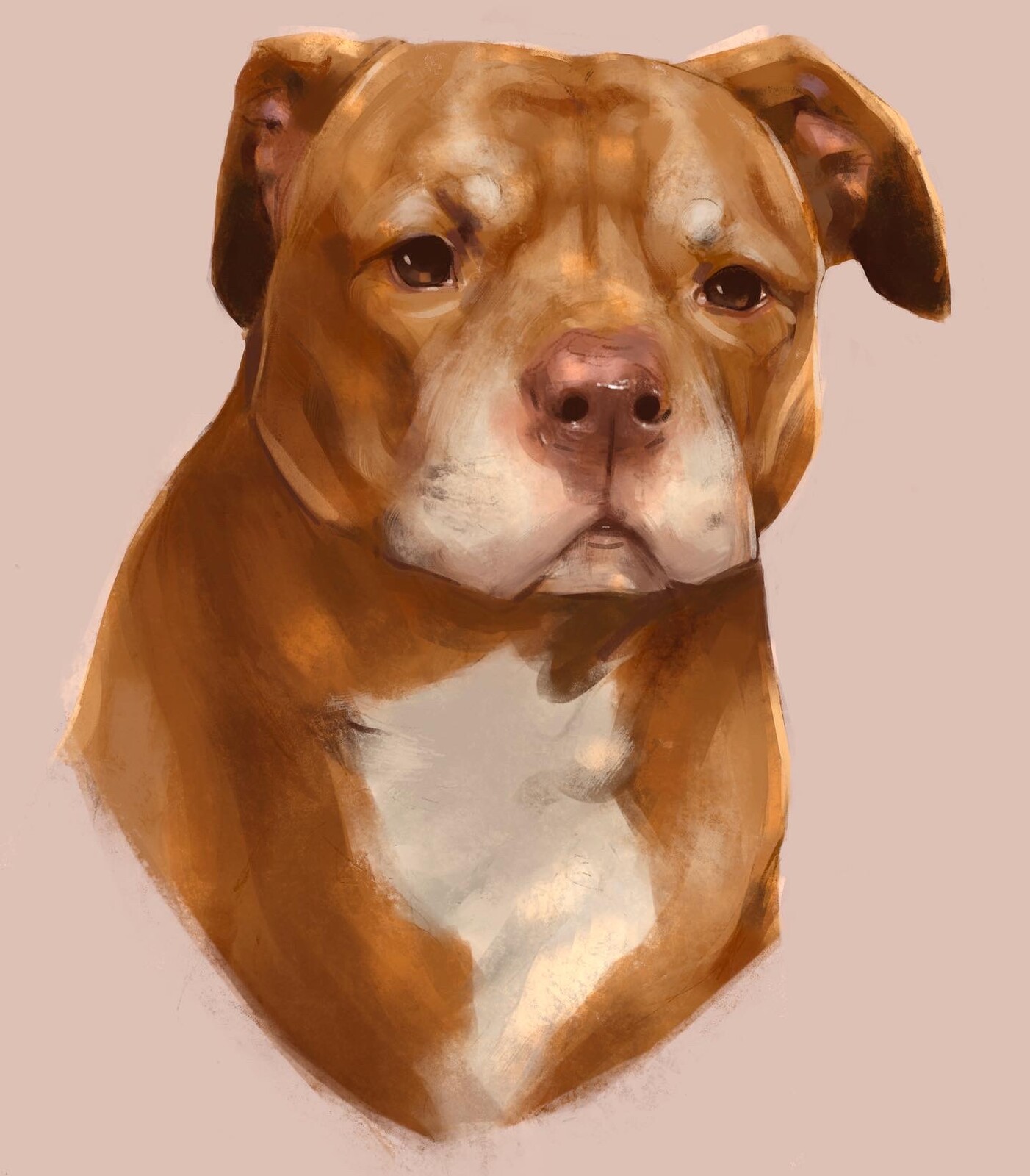 Jay Parsons - Dog Portraits