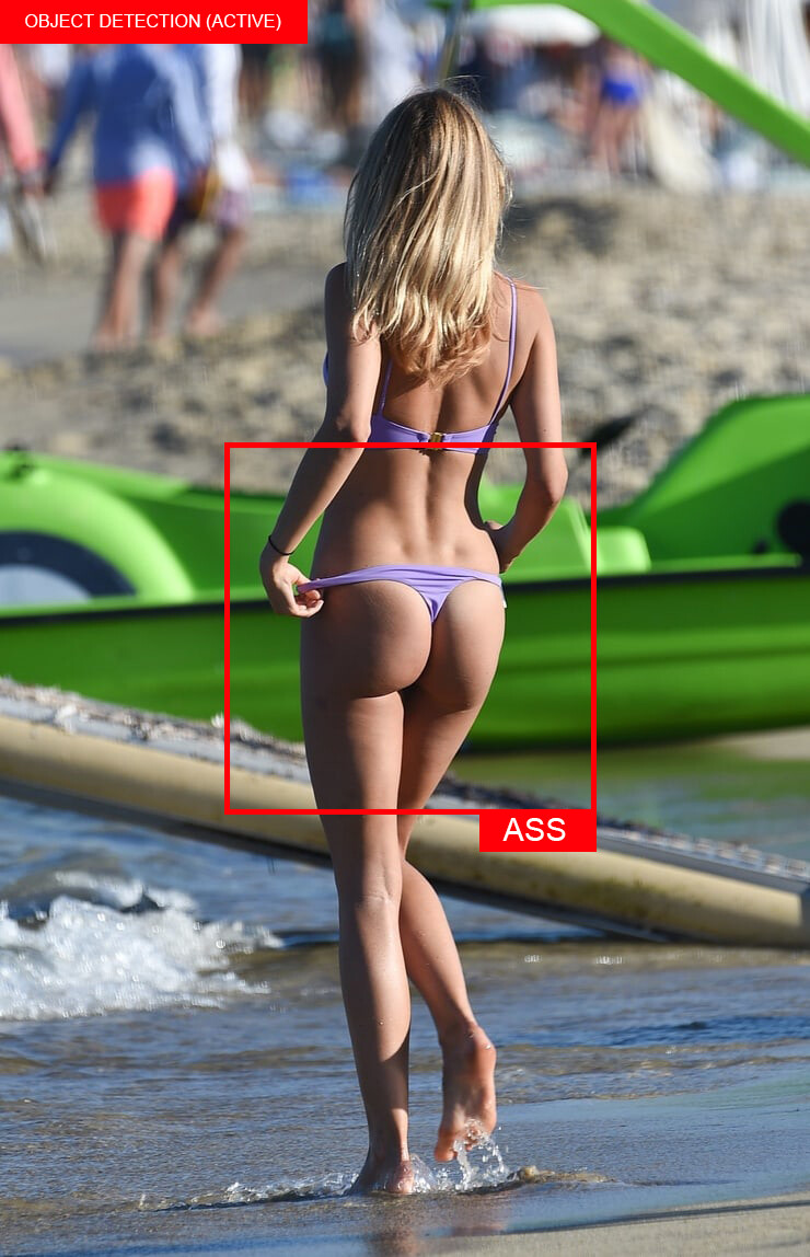 ArtStation - Ass Detection