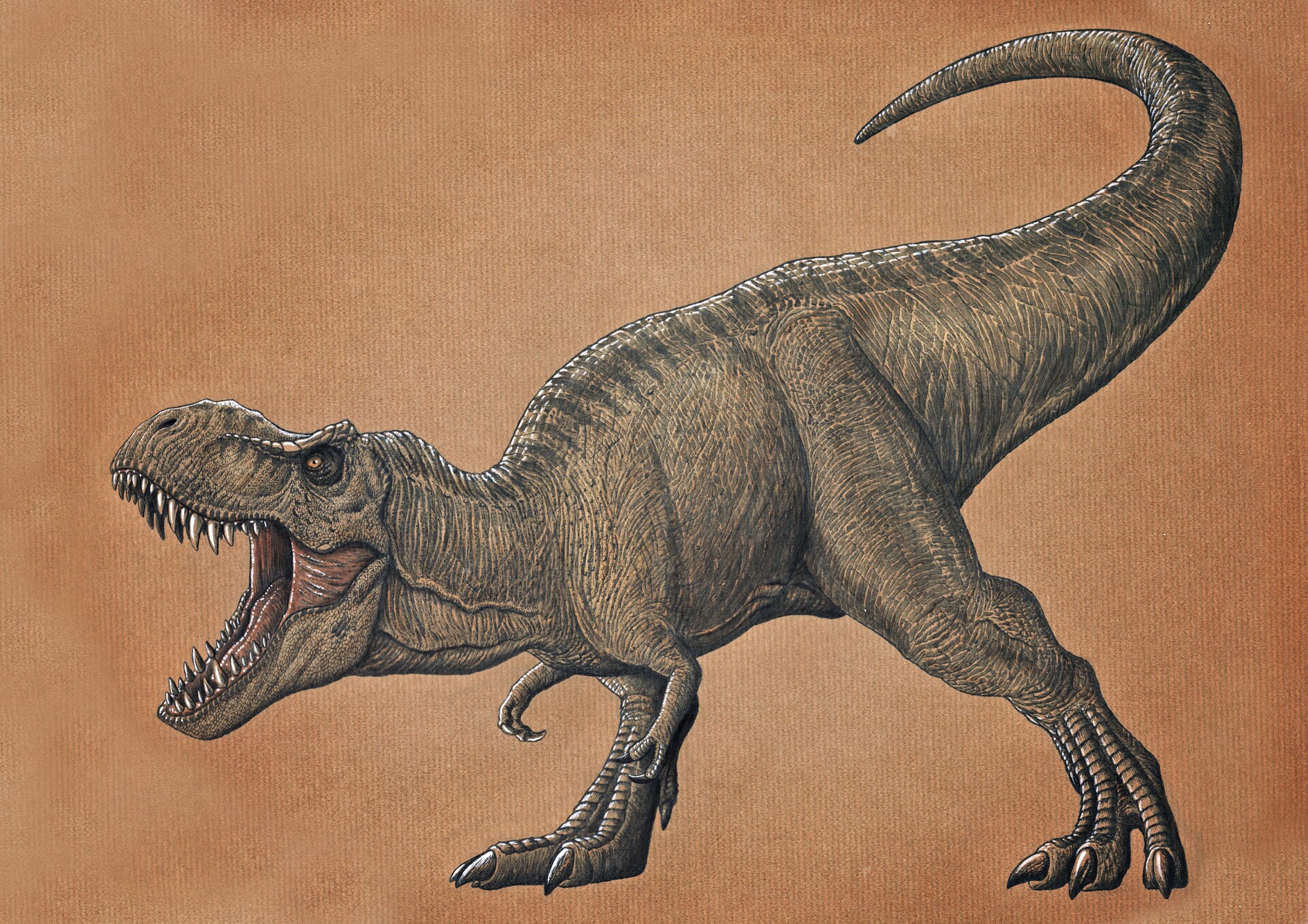 ArtStation - Tyrannosaurus Rex ''Rexy/Roberta''