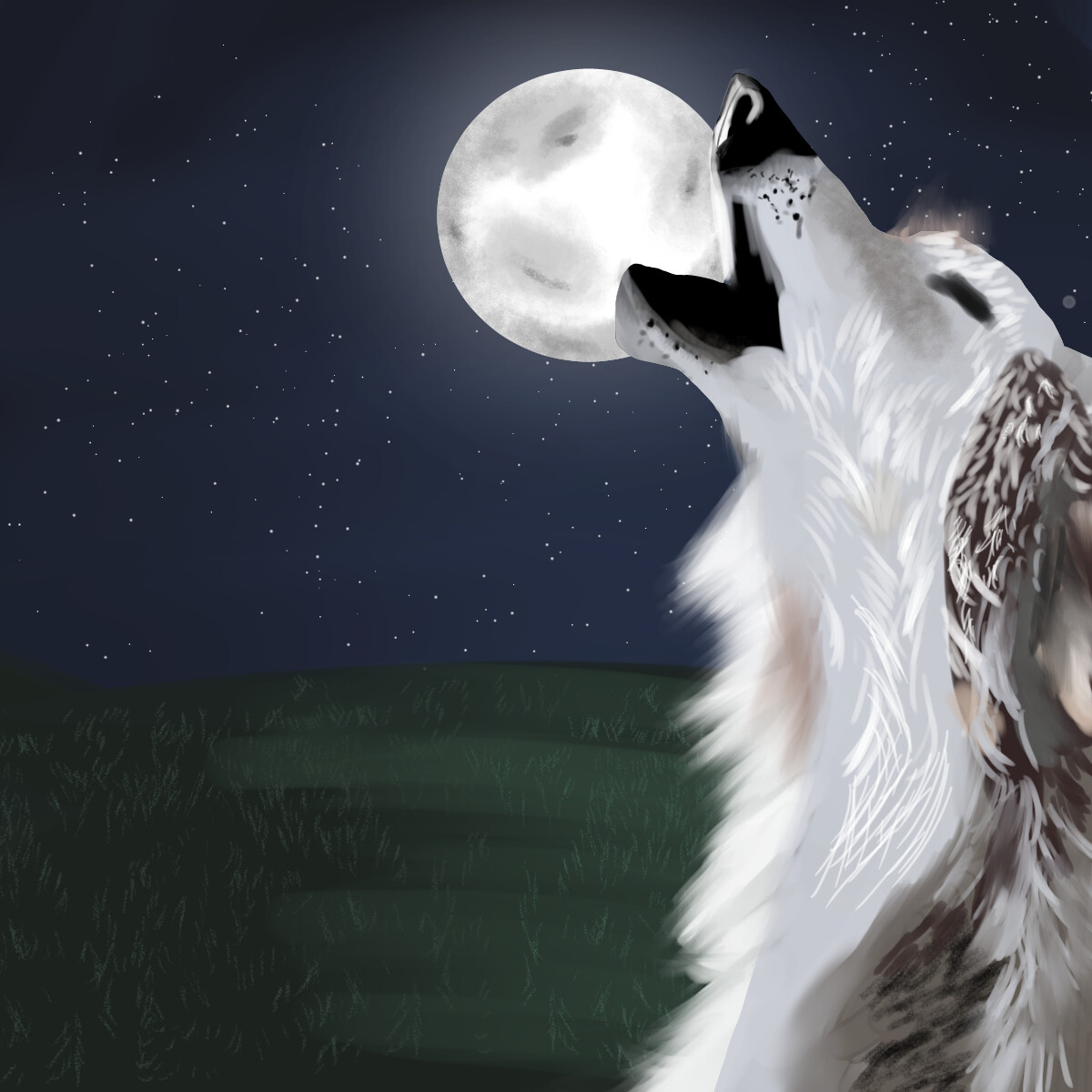 ArtStation - "Howling Wolf"