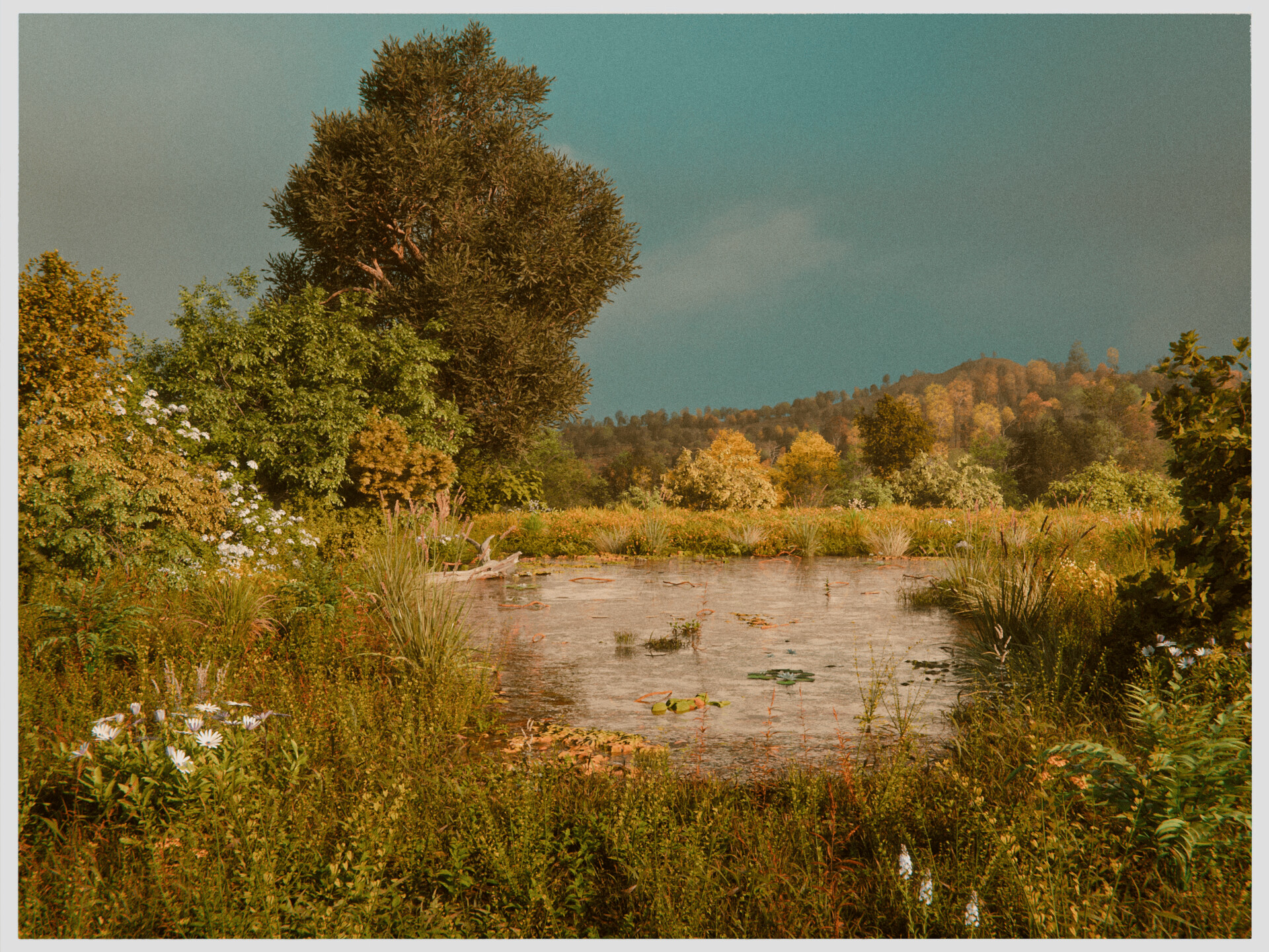 ArtStation - Nature #2