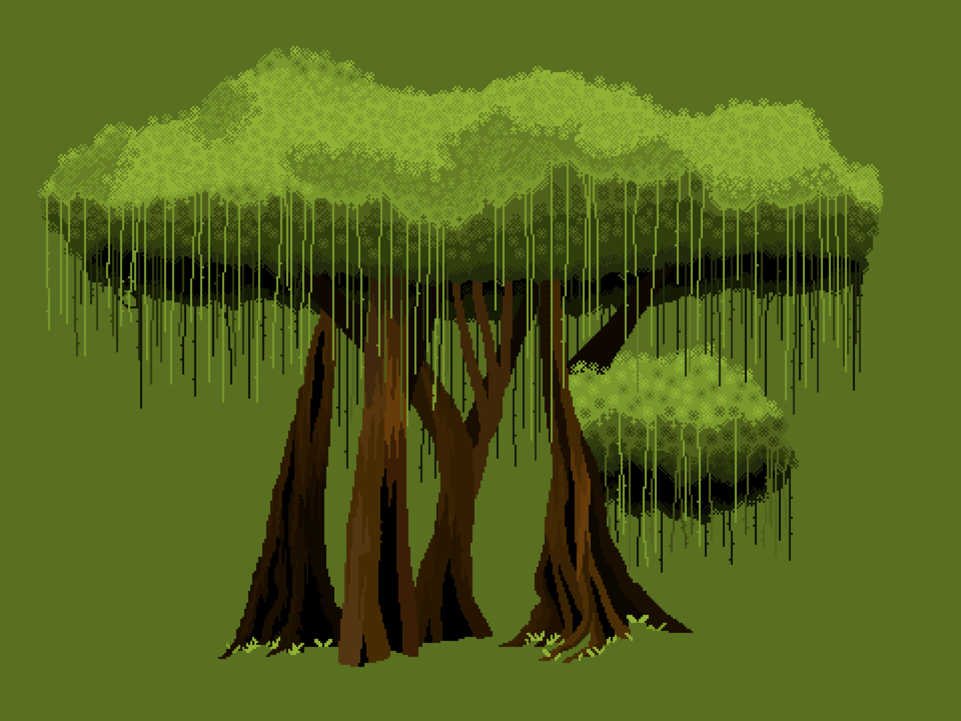 Tyler Souza - Banyan Tree