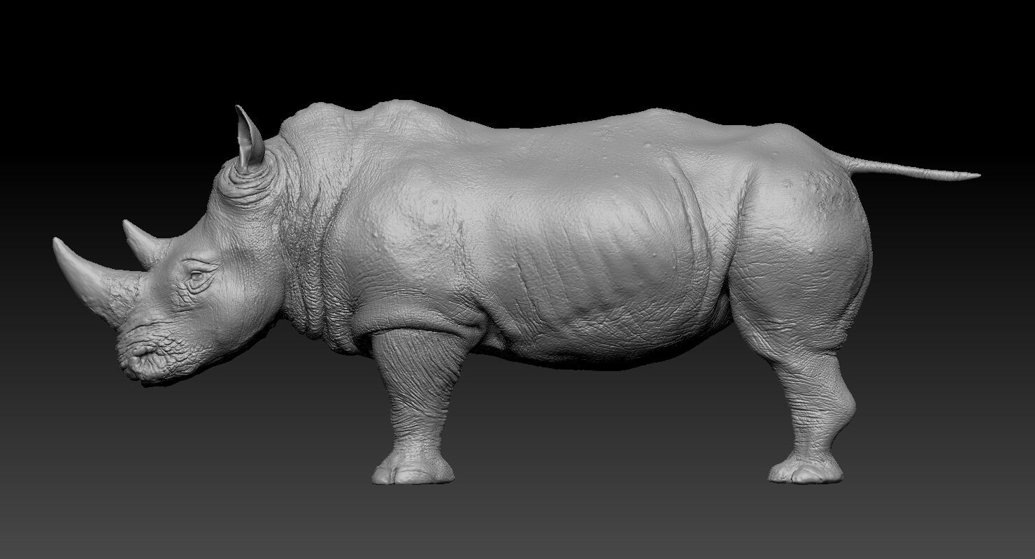 ArtStation - Rhinoceros - 3D print project