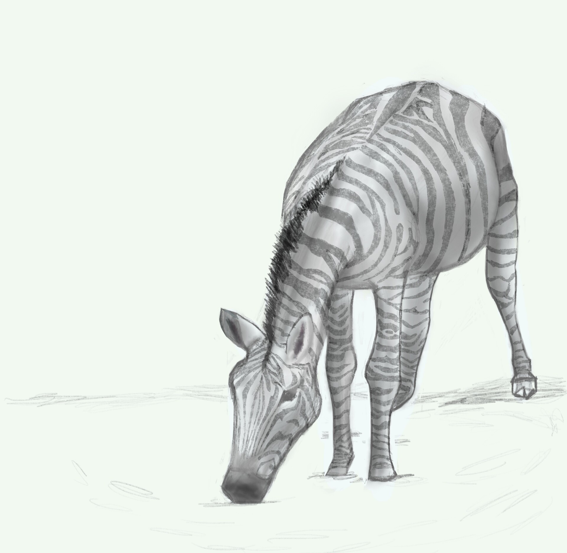 ArtStation - Practica de Cebra dibujo