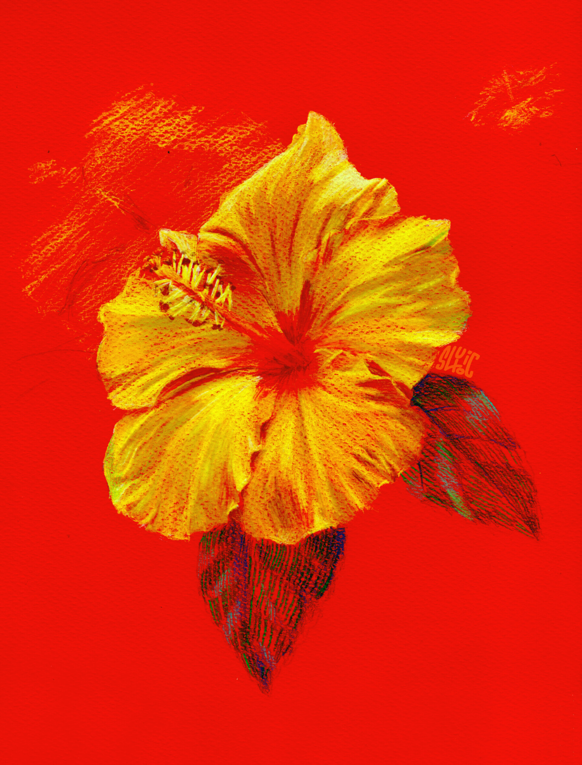 ArtStation - Scientific Flower Illustration