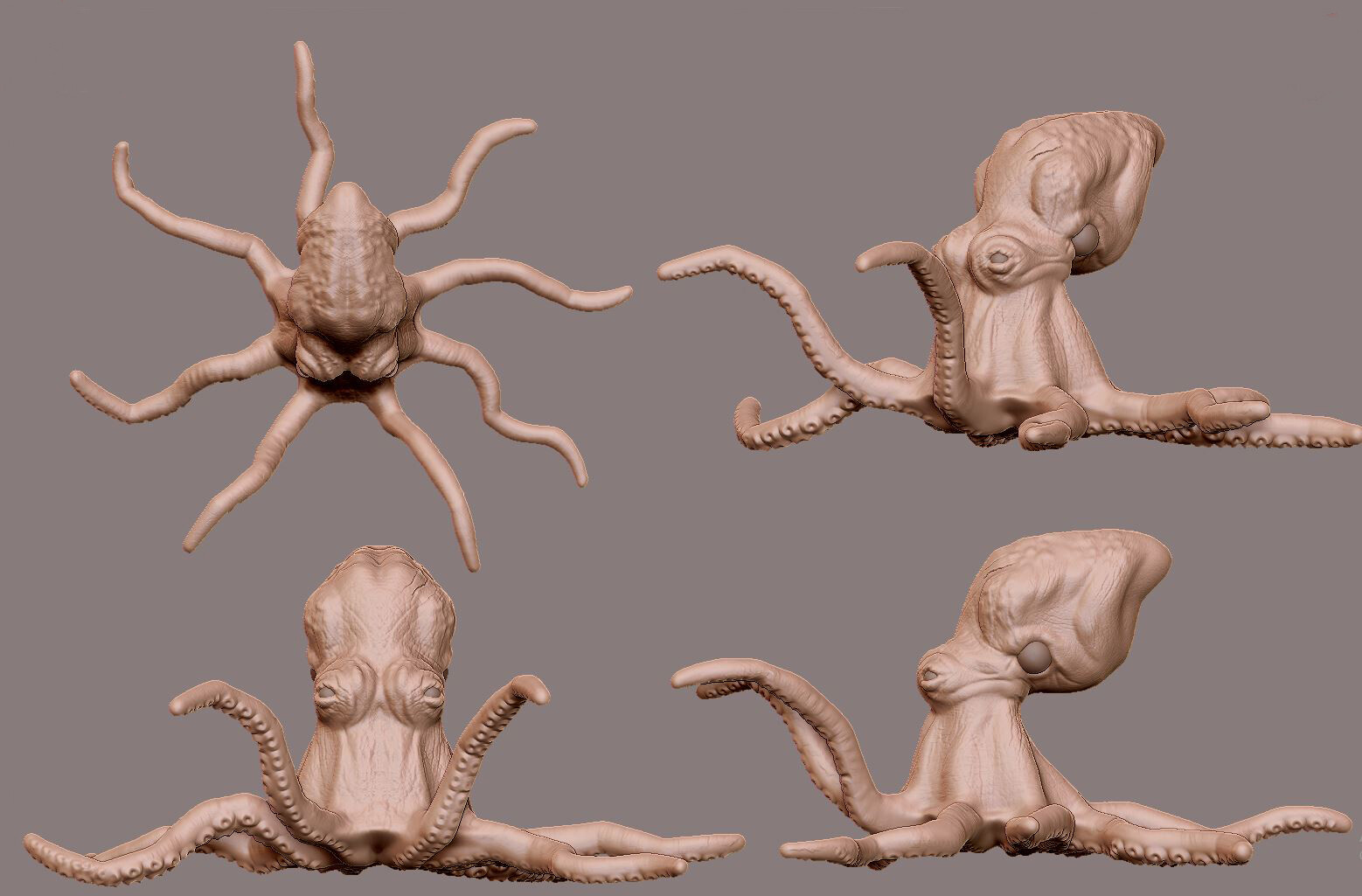 ArtStation - Octopus Zbrush Study