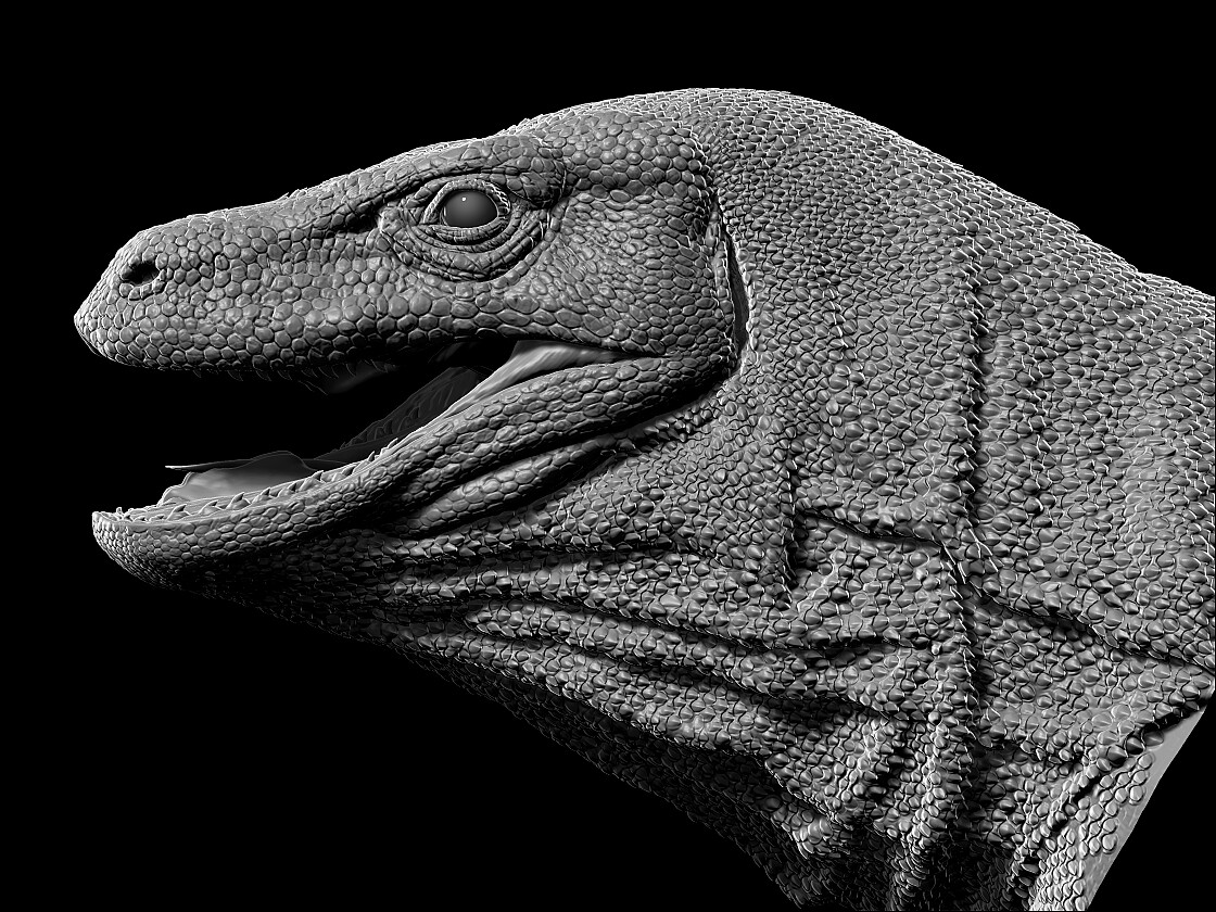 Leti M. Vila - Large Creature - Two headed comodo dragon