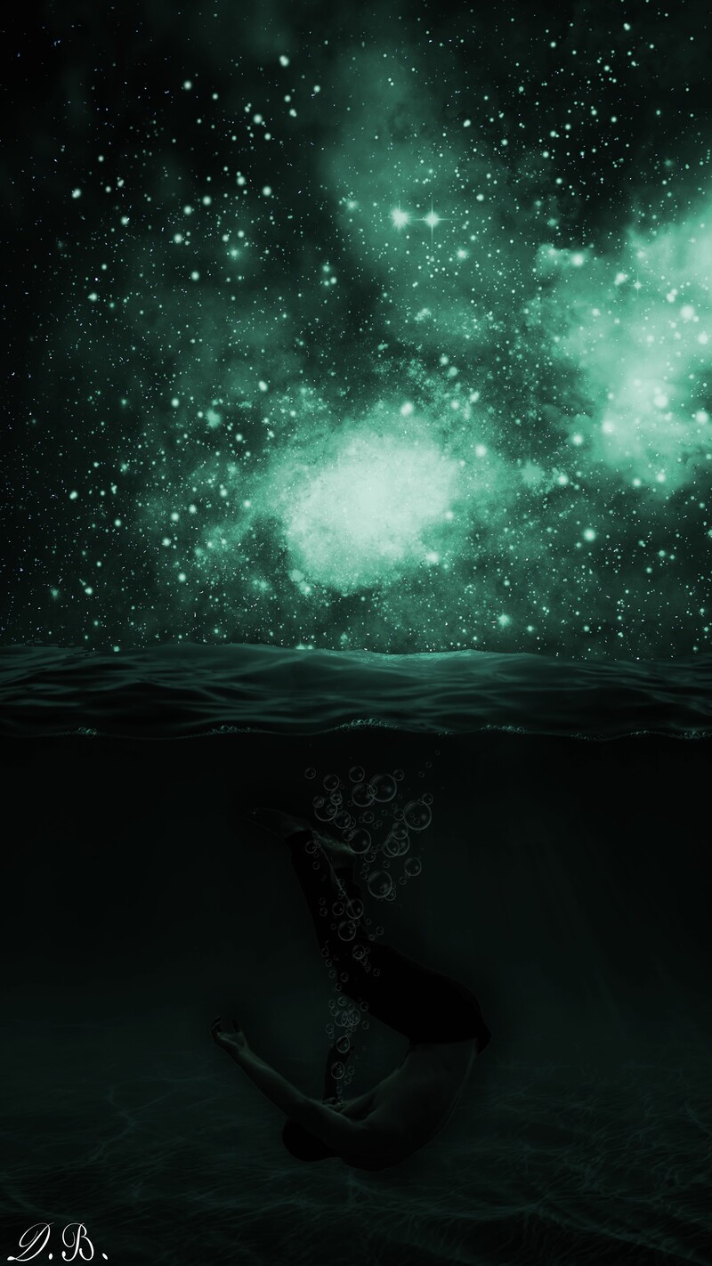 Dominique Blackwell - Portfolio