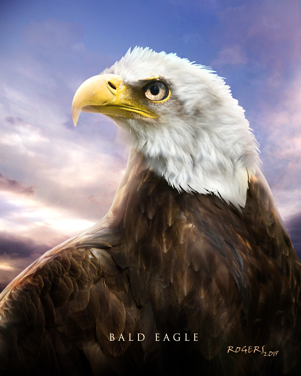 ArtStation - American Bald Eagle