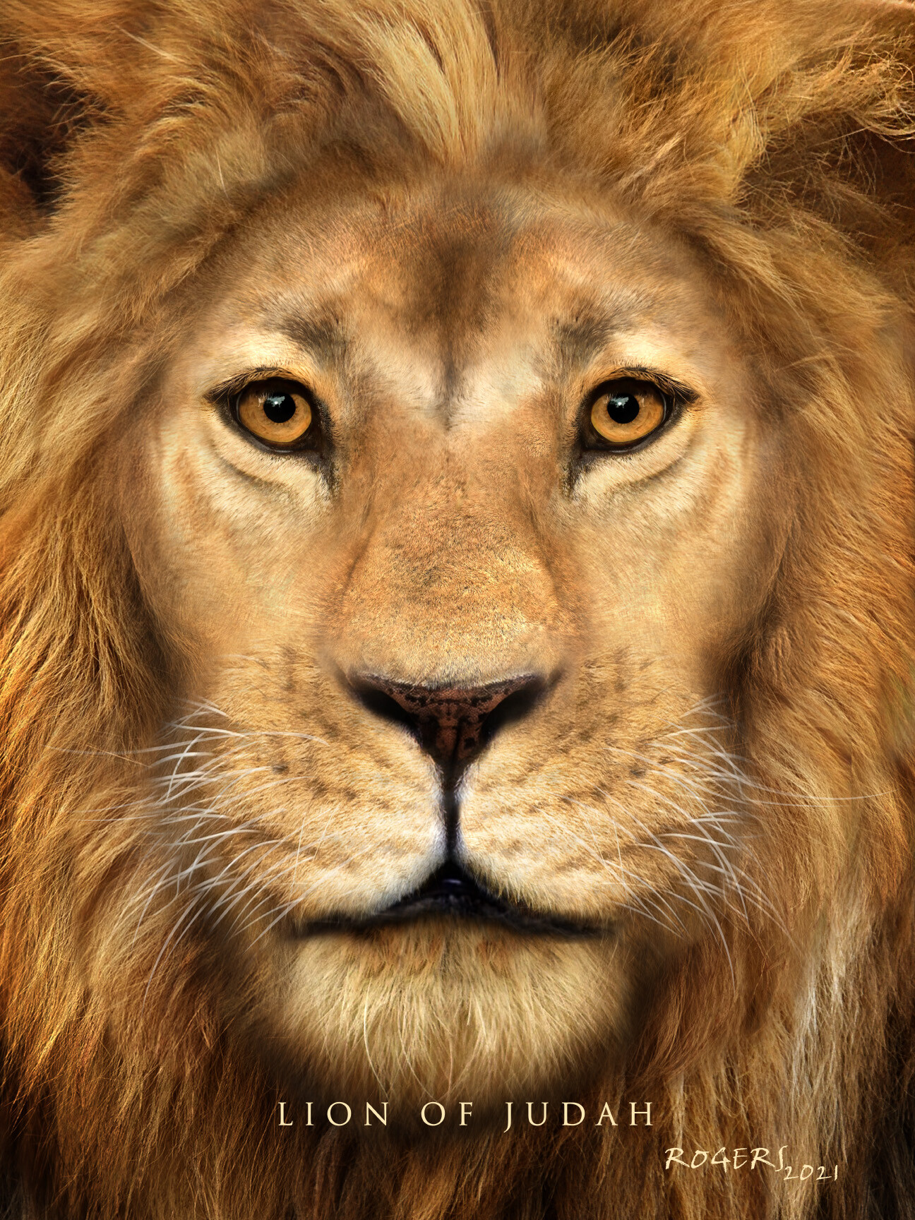 David Rogers - The Lion of Judah