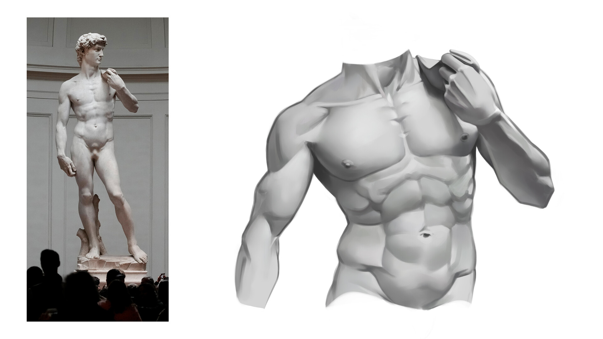 ArtStation - David Torso Study