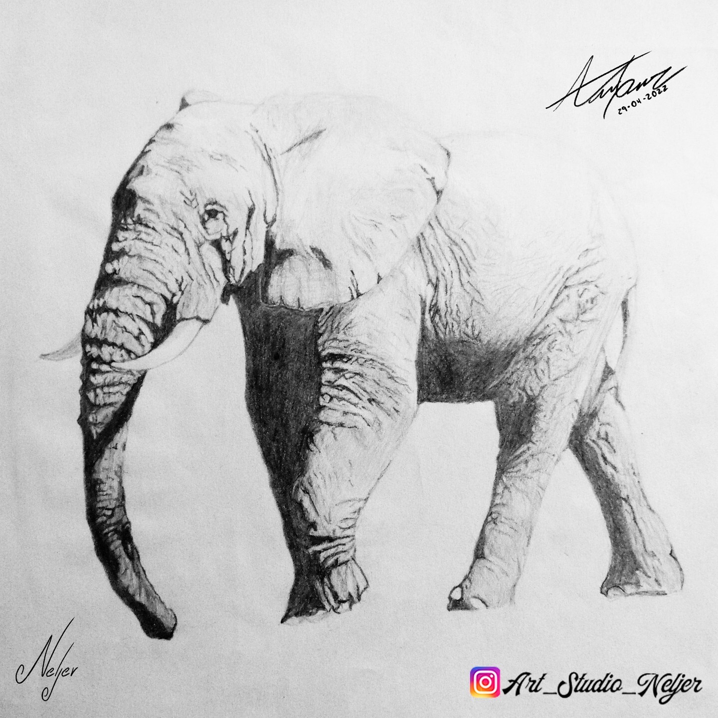 ArtStation - Elefant