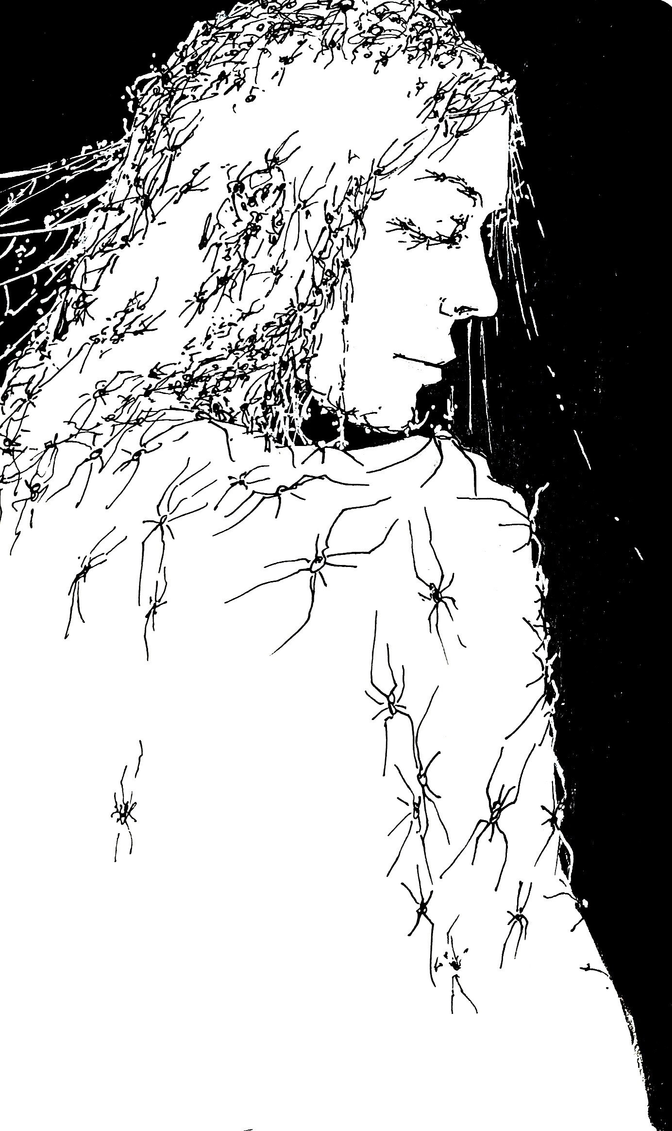 ArtStation - Inktober 2023 day 2 - Spiders