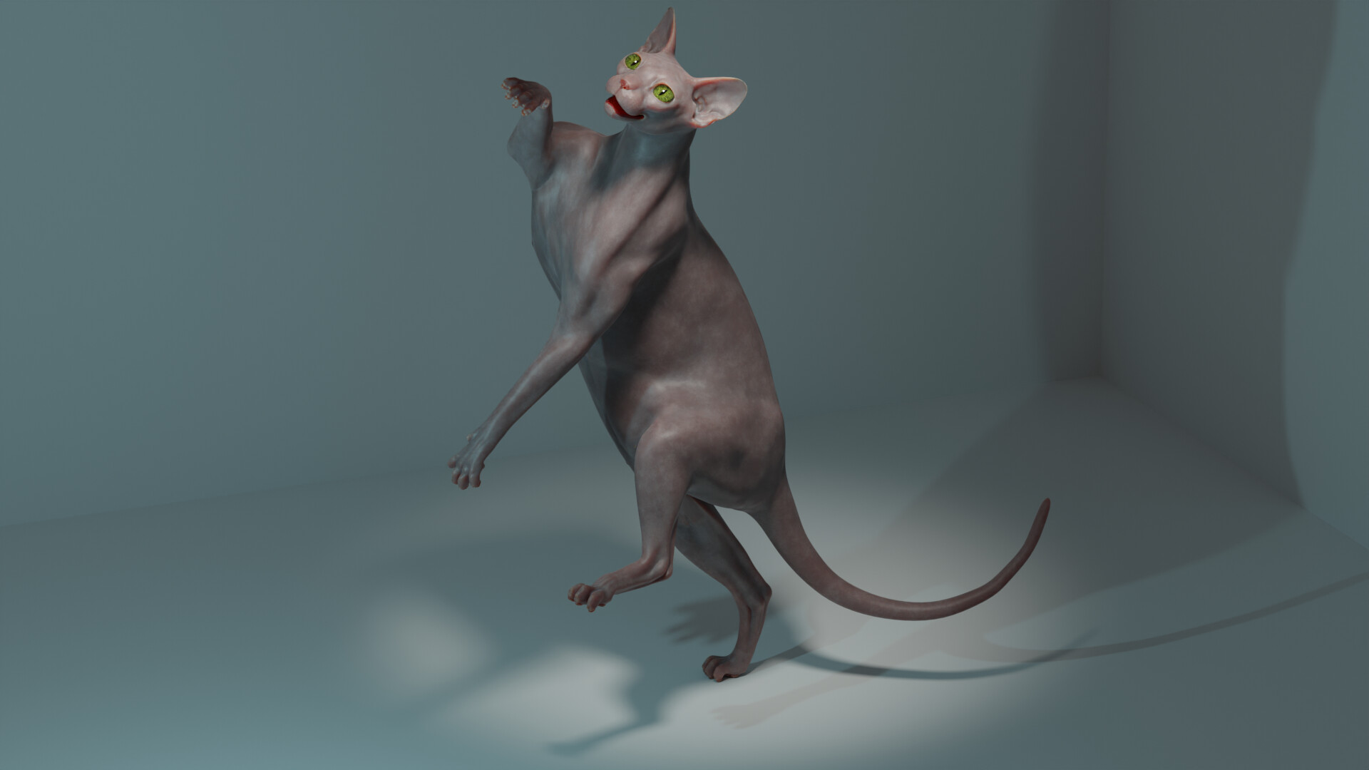 ArtStation - Sphynx Cat