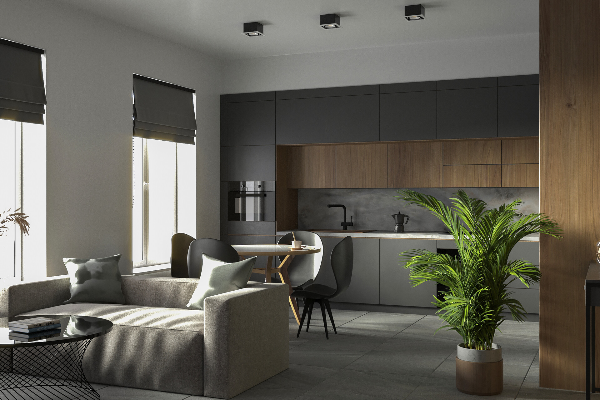 Irina - 3d visualization created using the Geometry school lesson