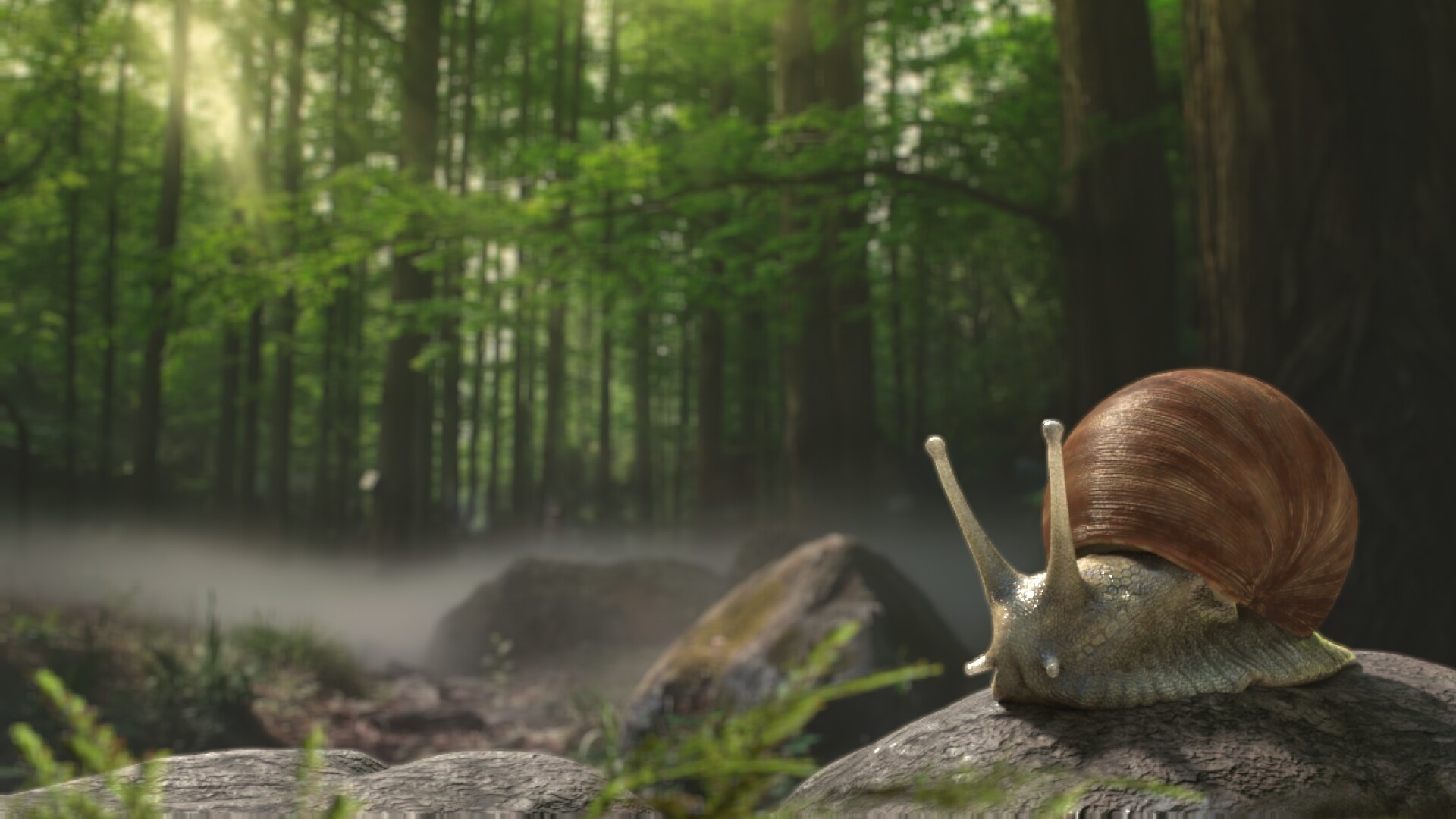 ArtStation - Snail_Live_Integration